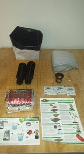 Basics of Hydroponics System - Floating Root Technique : 8 Steps (with ...