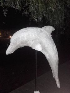 Dolphin : 13 Steps (with Pictures) - Instructables