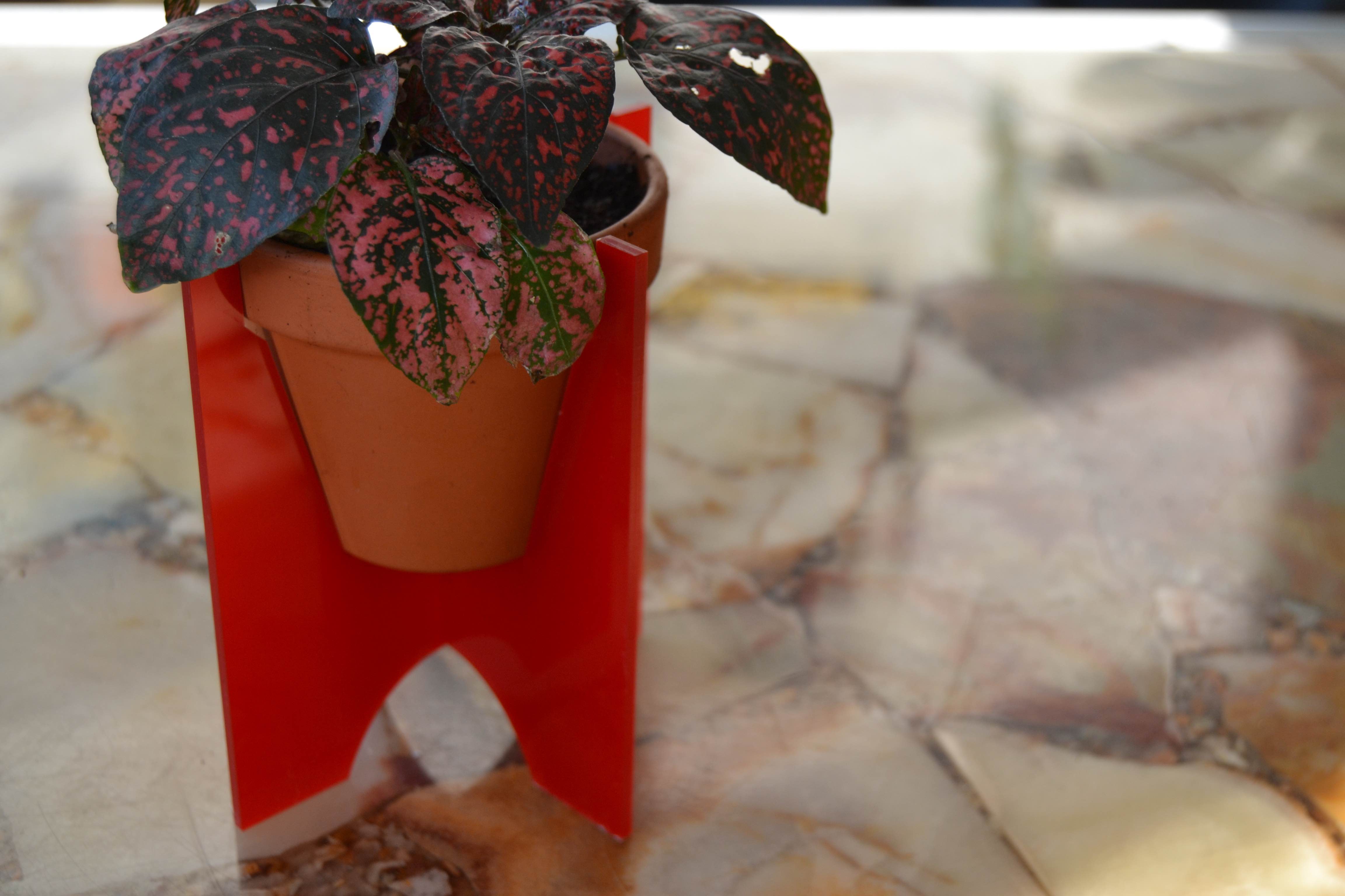 Laser Cut Planters : 7 Steps (with Pictures) - Instructables