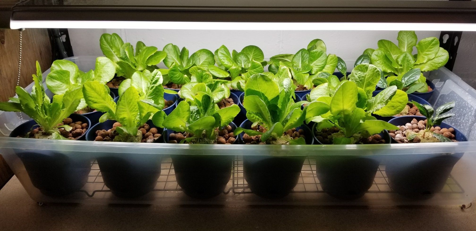 Automated Garden System Built on Raspberry Pi for Outdoors or Indoors ...