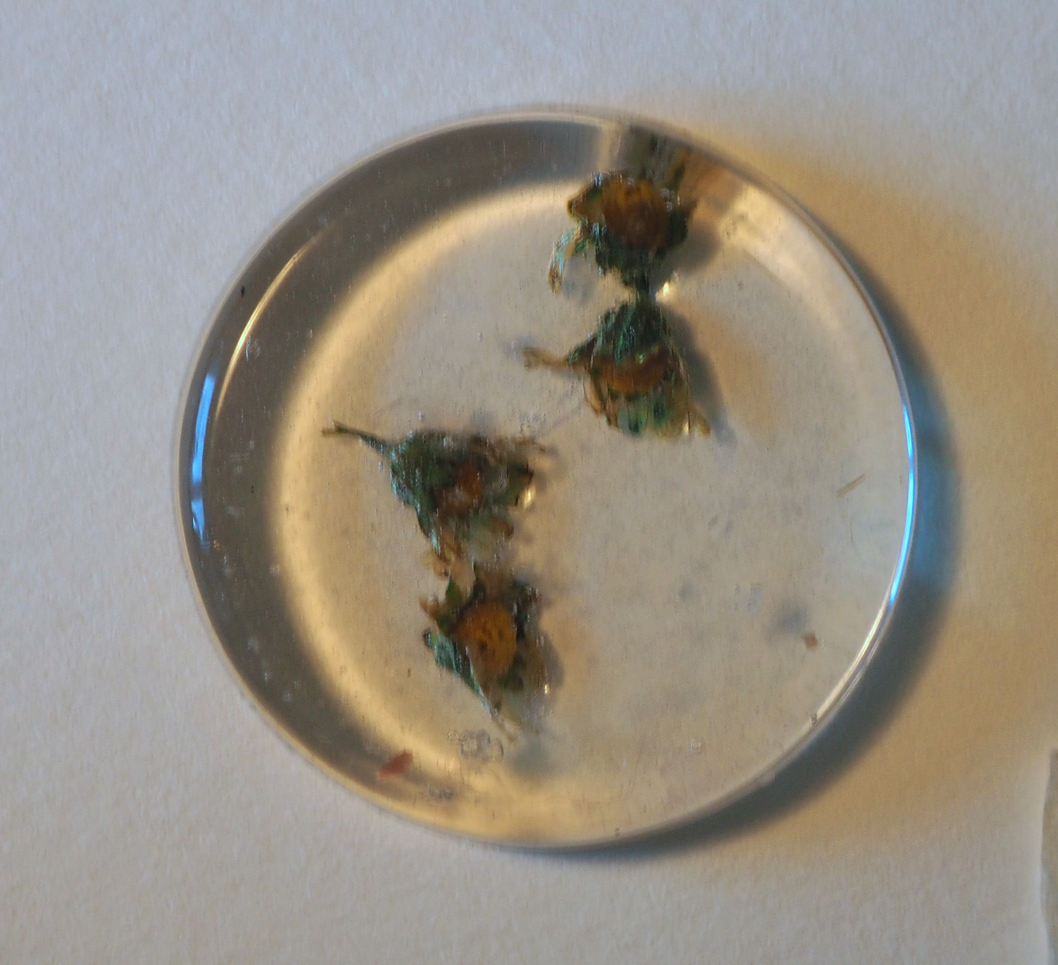 Techniques to Embed Flowers in Resin : 12 Steps (with Pictures ...