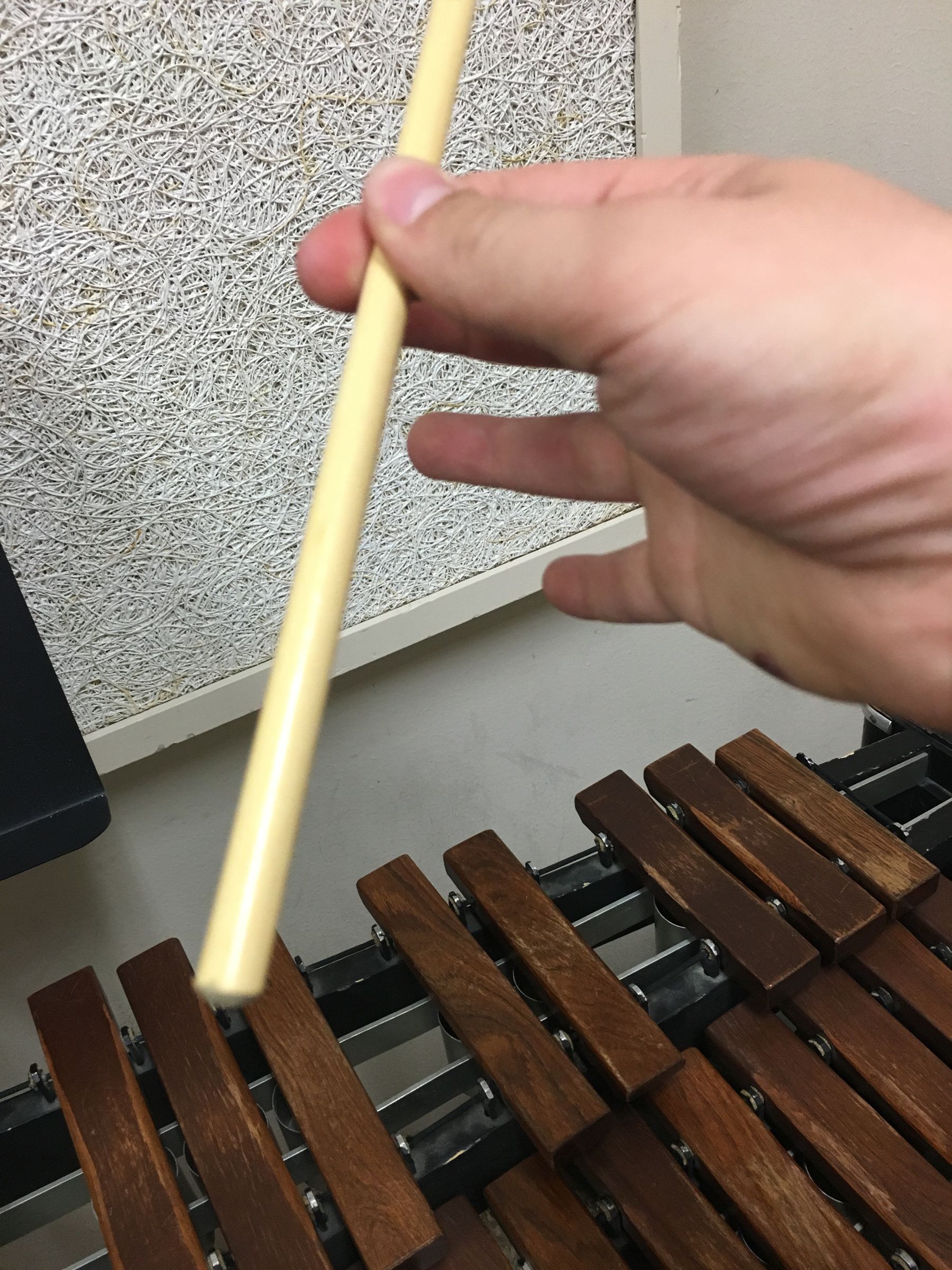 Learning to Play the Xylophone : 5 Steps (with Pictures) - Instructables