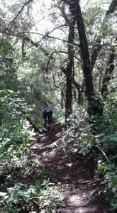 How to Design and Build a Trail : 8 Steps (with Pictures) - Instructables