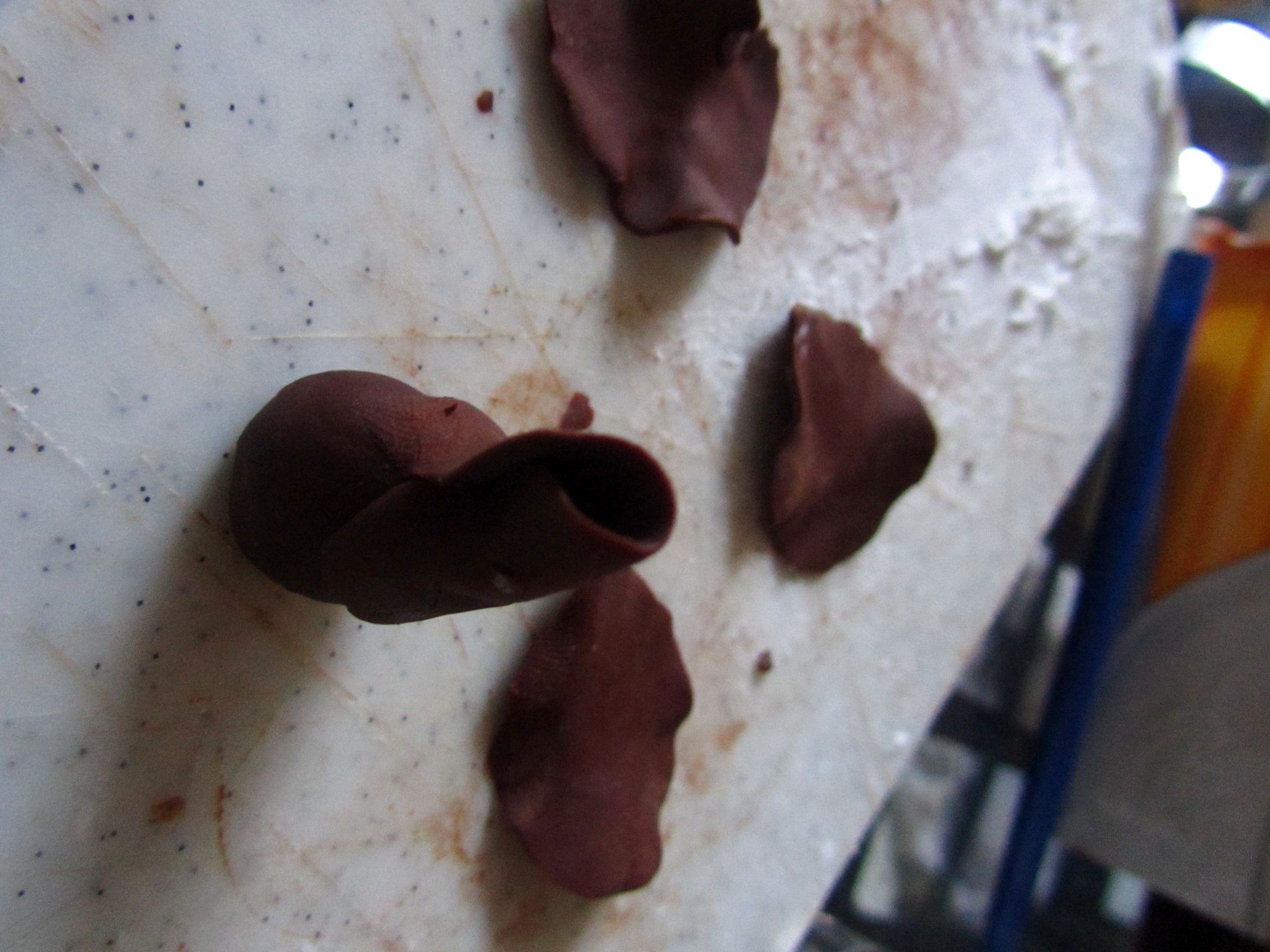 Modelling Chocolate Roses : 9 Steps (with Pictures) - Instructables