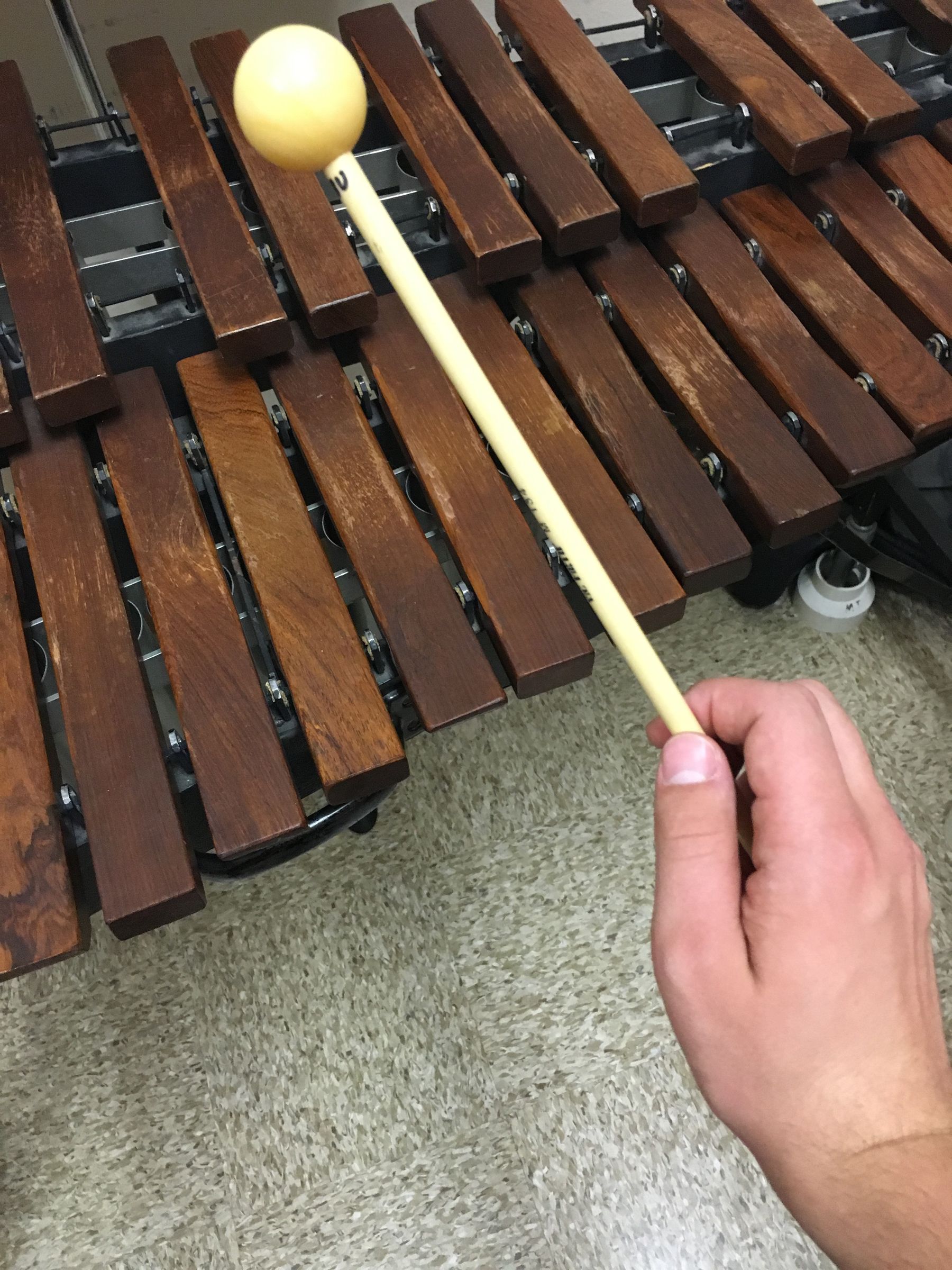 Learning to Play the Xylophone : 5 Steps (with Pictures) - Instructables