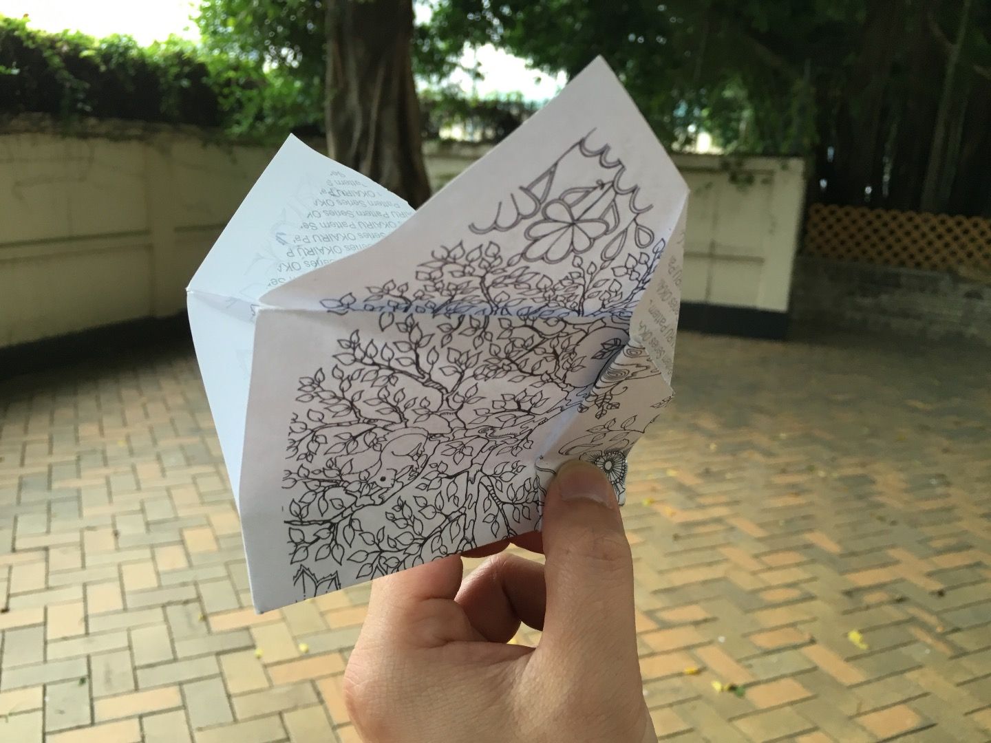 Flapping Paper Plane : 23 Steps (with Pictures) - Instructables