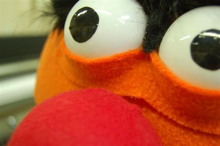 Animal Costume From the Muppets : 8 Steps (with Pictures) - Instructables