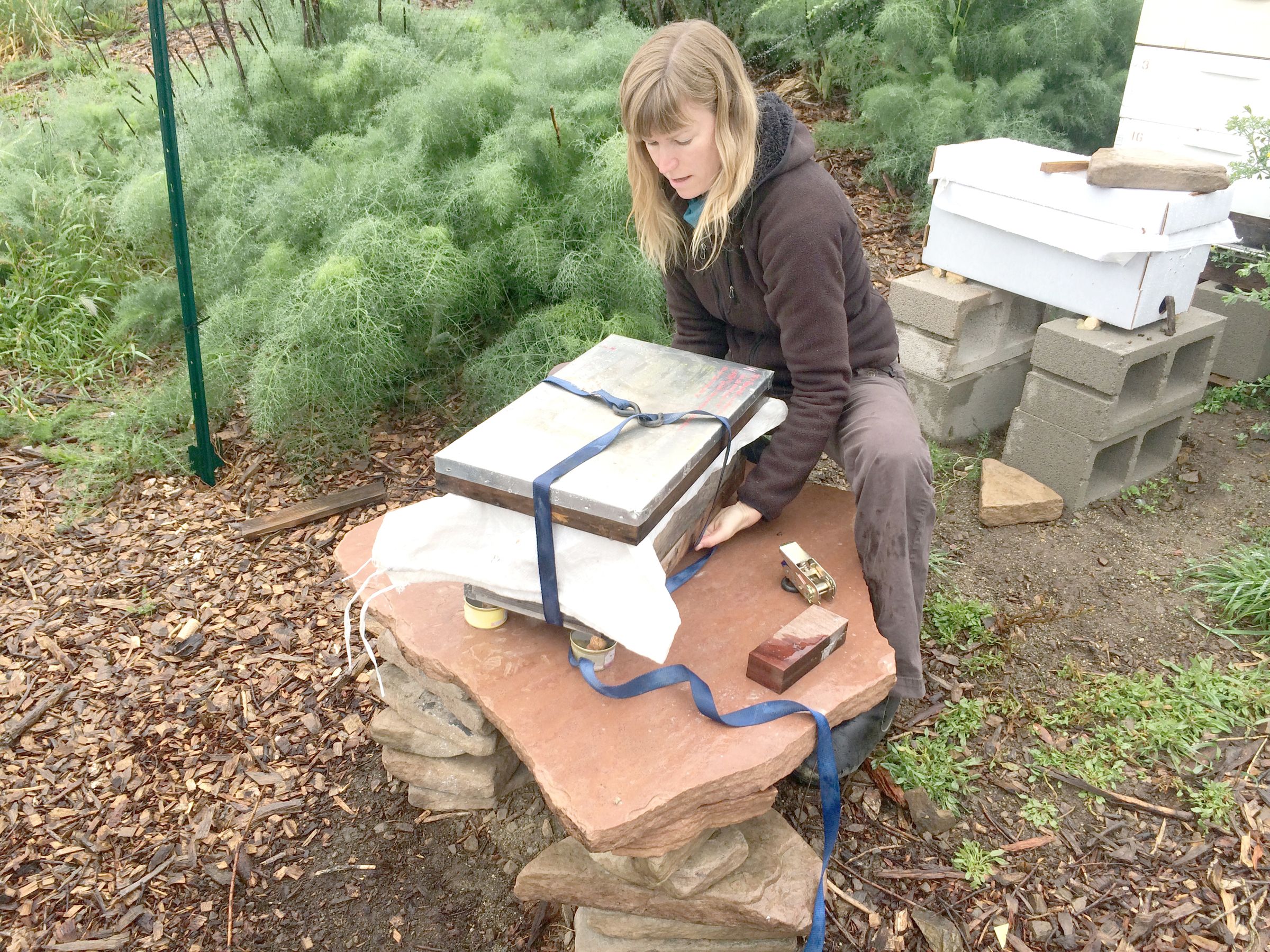 Nucleus Colony -or- How to Start a Beehive : 8 Steps (with Pictures ...