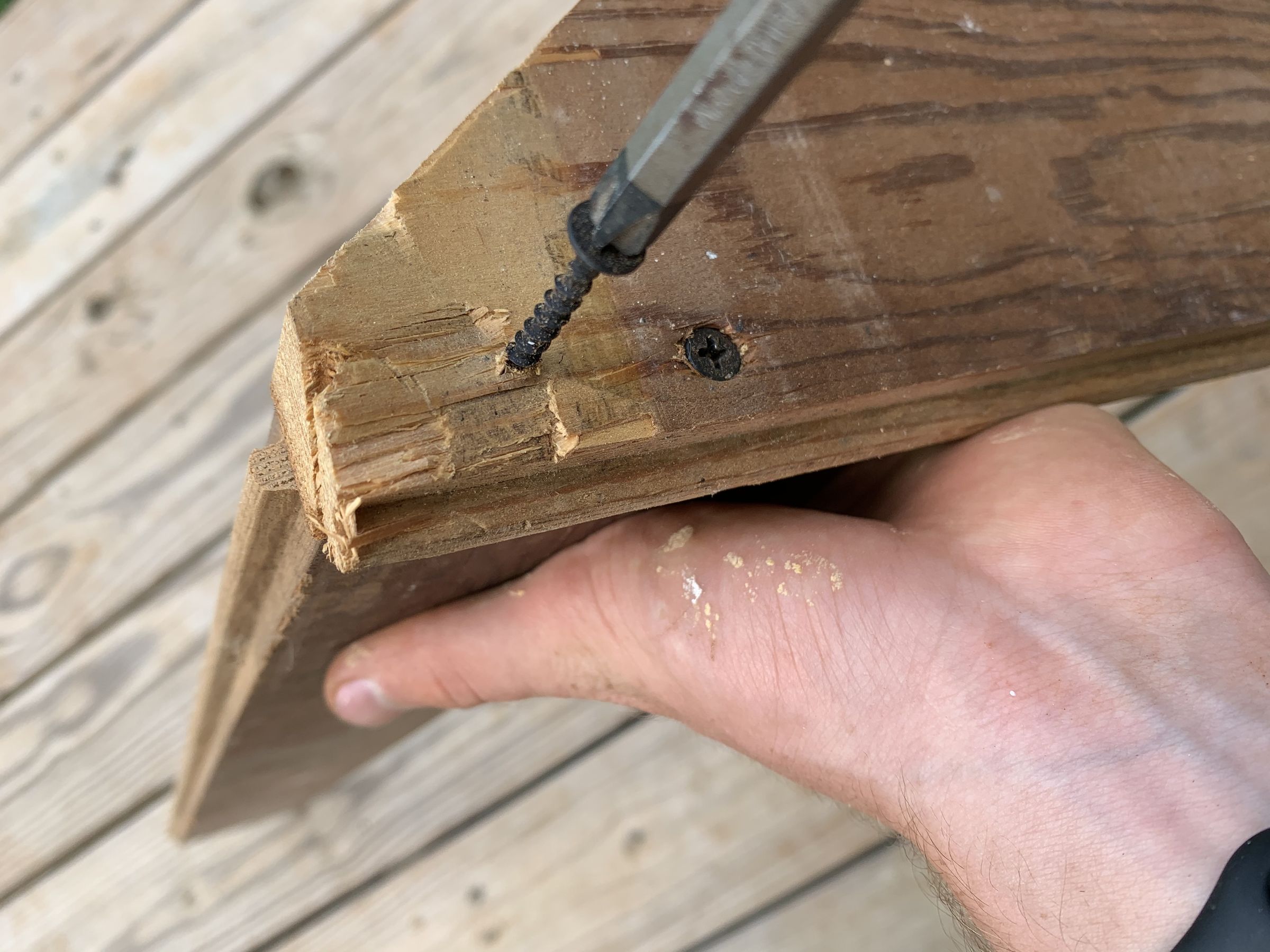 Chicken Playground : 20 Steps (with Pictures) - Instructables