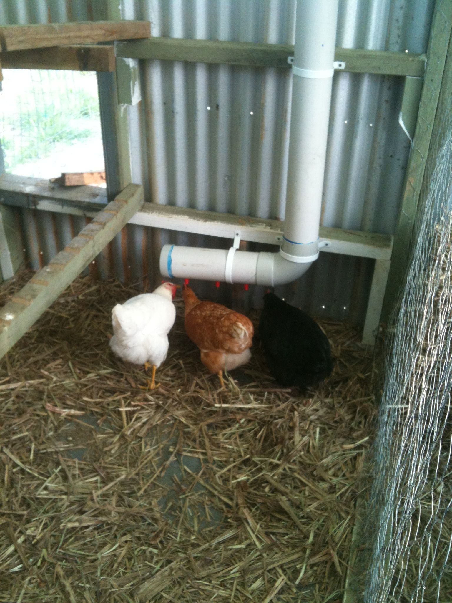 Making a Chicken Water System : 5 Steps - Instructables