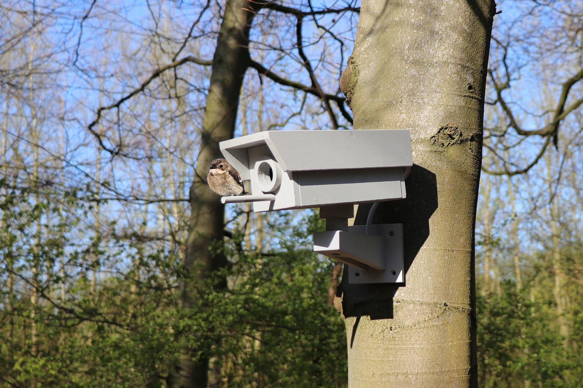 Fake Security Camera Birdhouse Made From Scrapwood : 5 Steps (with ...