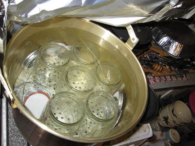 Pickle Anything! Basic Pickle Instructions : 6 Steps (with Pictures ...