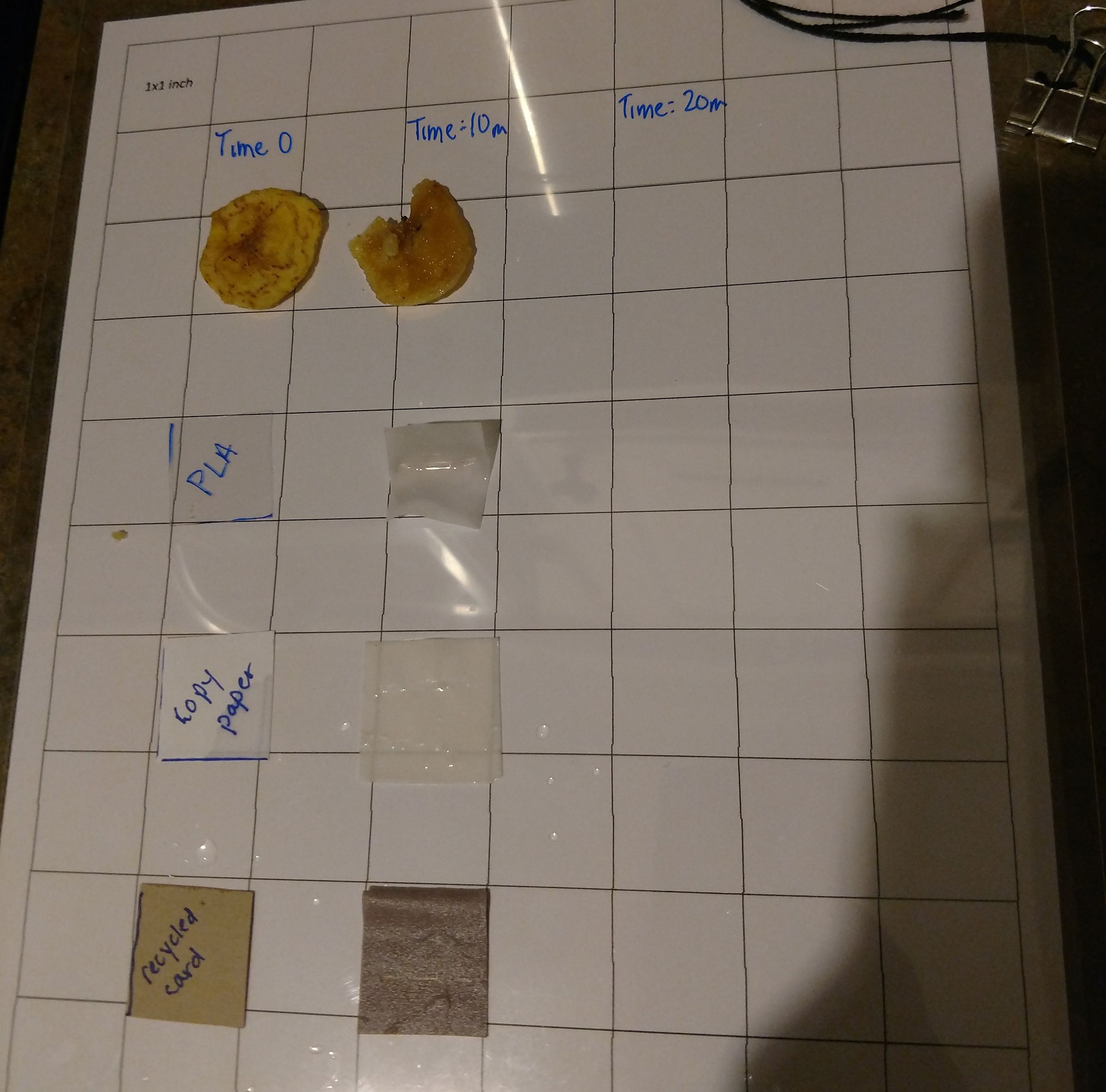 A Biodegradability Experiment You Can Do With Kids! : 8 Steps ...