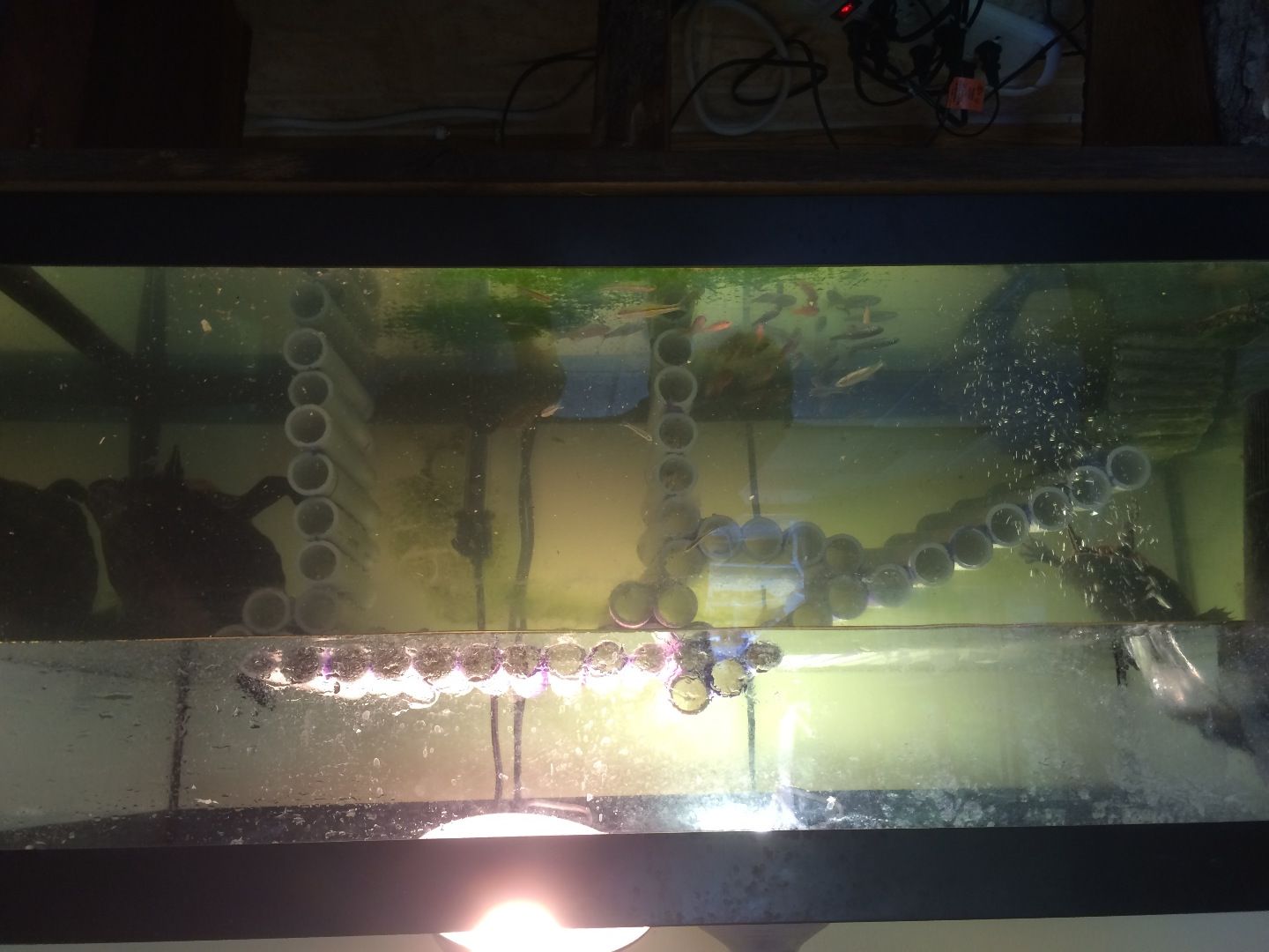 PVC Turtle Dock : 6 Steps - Instructables