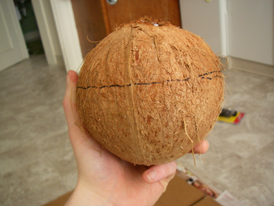 How to Recycle a Coconut Shell Into a Bowl : 6 Steps (with Pictures ...