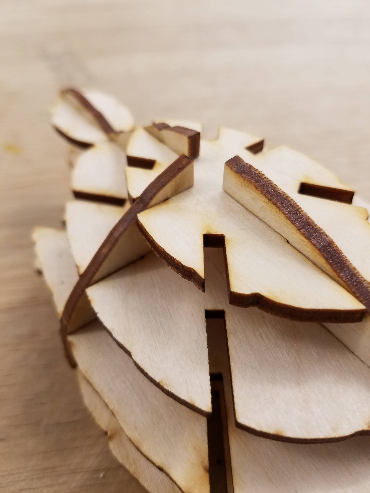 Laser Cut Turtle : 3 Steps (with Pictures) - Instructables