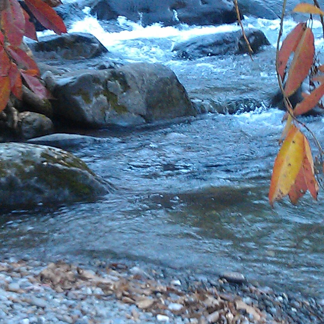 DIY Skills: the Best Survival Tool : 6 Steps - Instructables