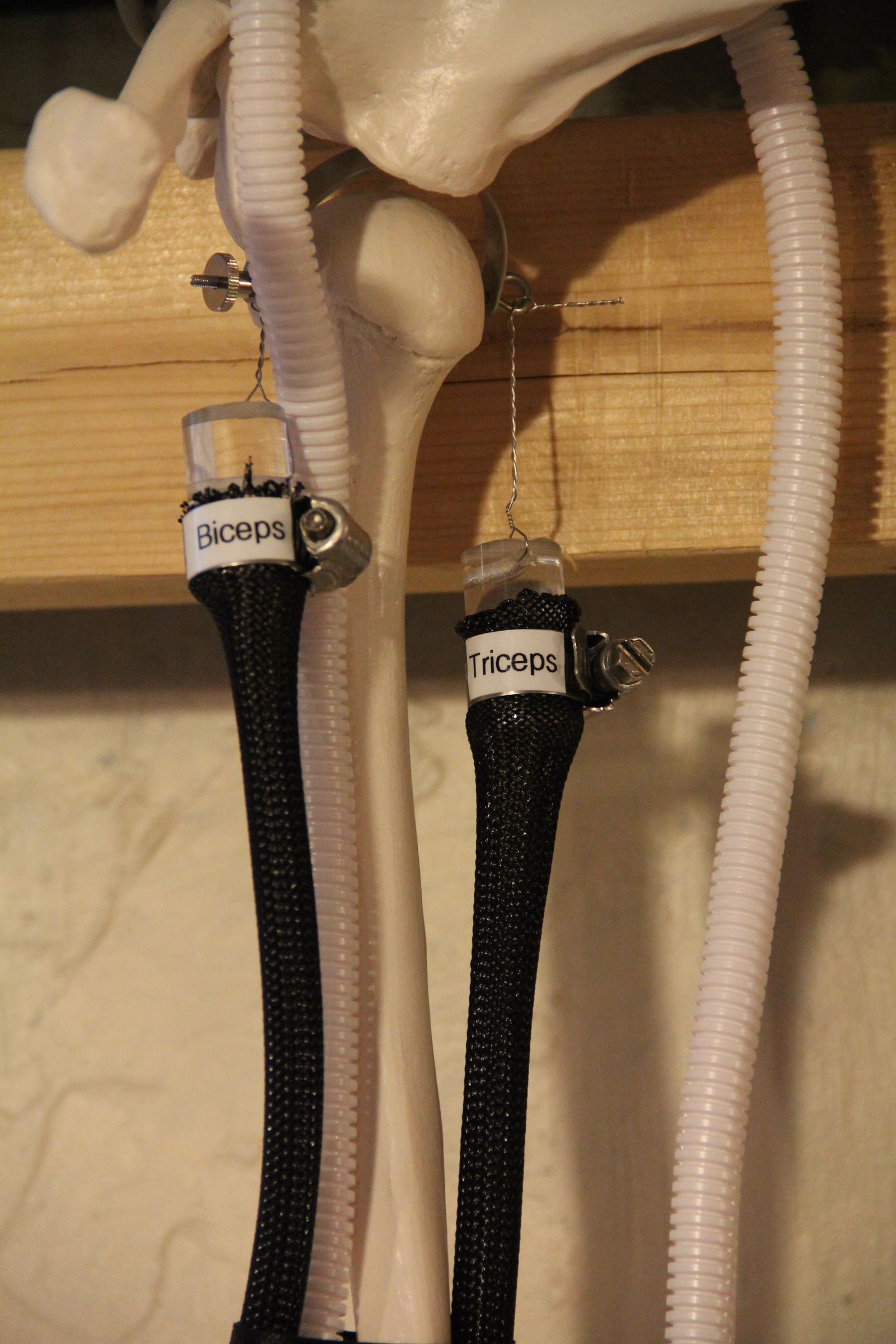 Arduino Mechanotronic Human Pain Reflex : 6 Steps (with Pictures ...