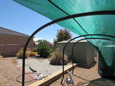 Poly Pipe Greenhouse and Shadehouse With Sprinkler System : 8 Steps ...