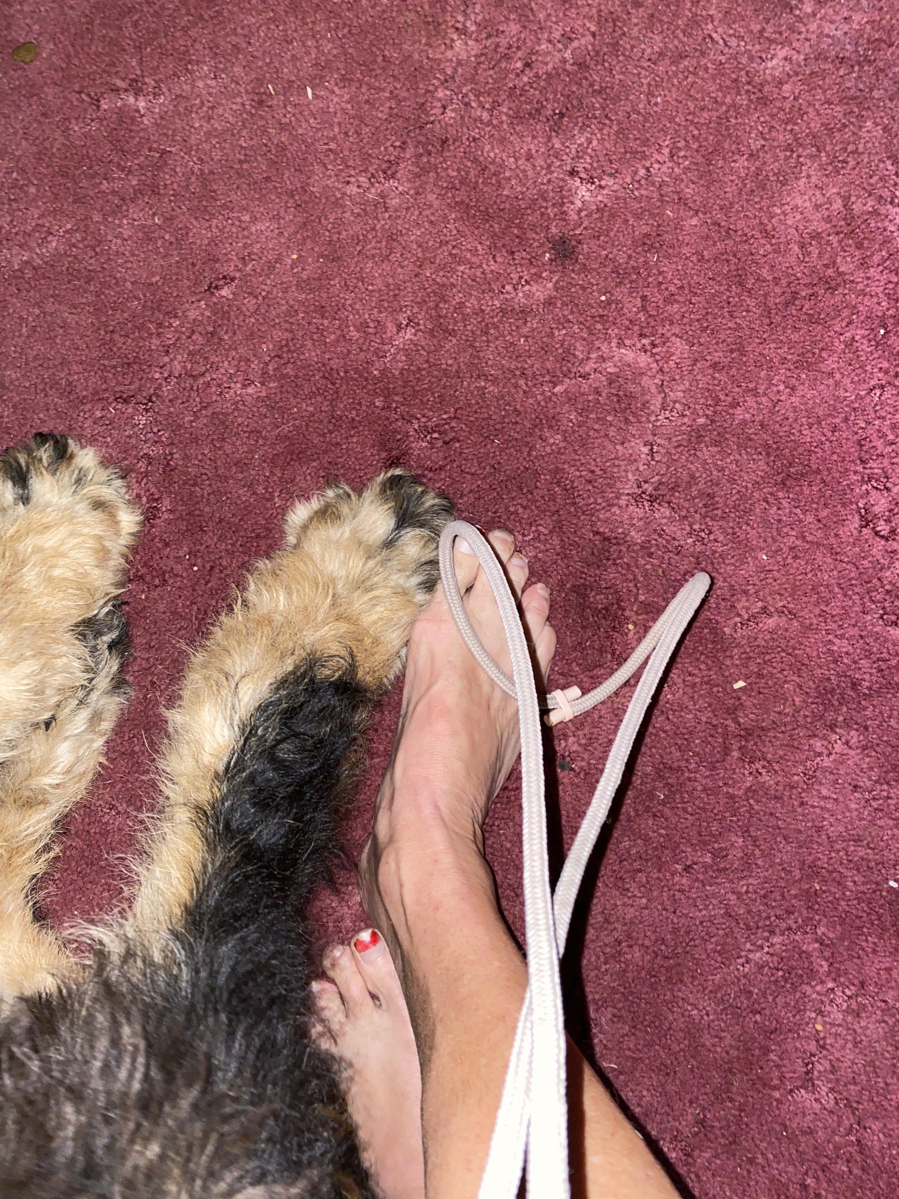 Steel Toe Bunny Slippers : 19 Steps (with Pictures) - Instructables