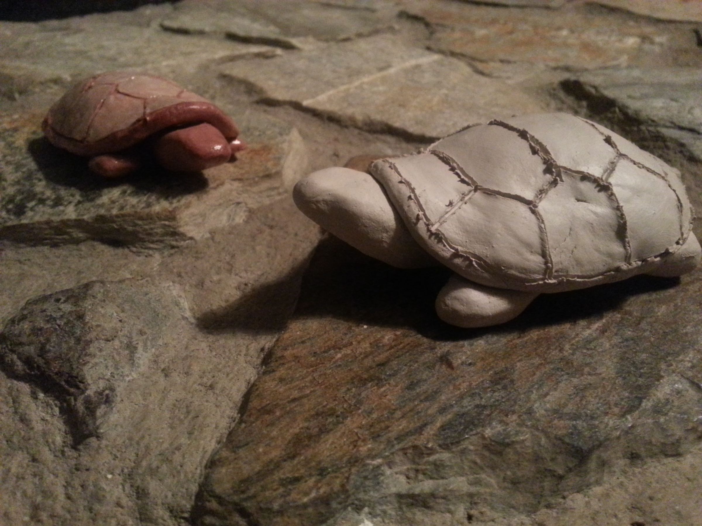 Clay Turtle Tutorial : 7 Steps (with Pictures) - Instructables