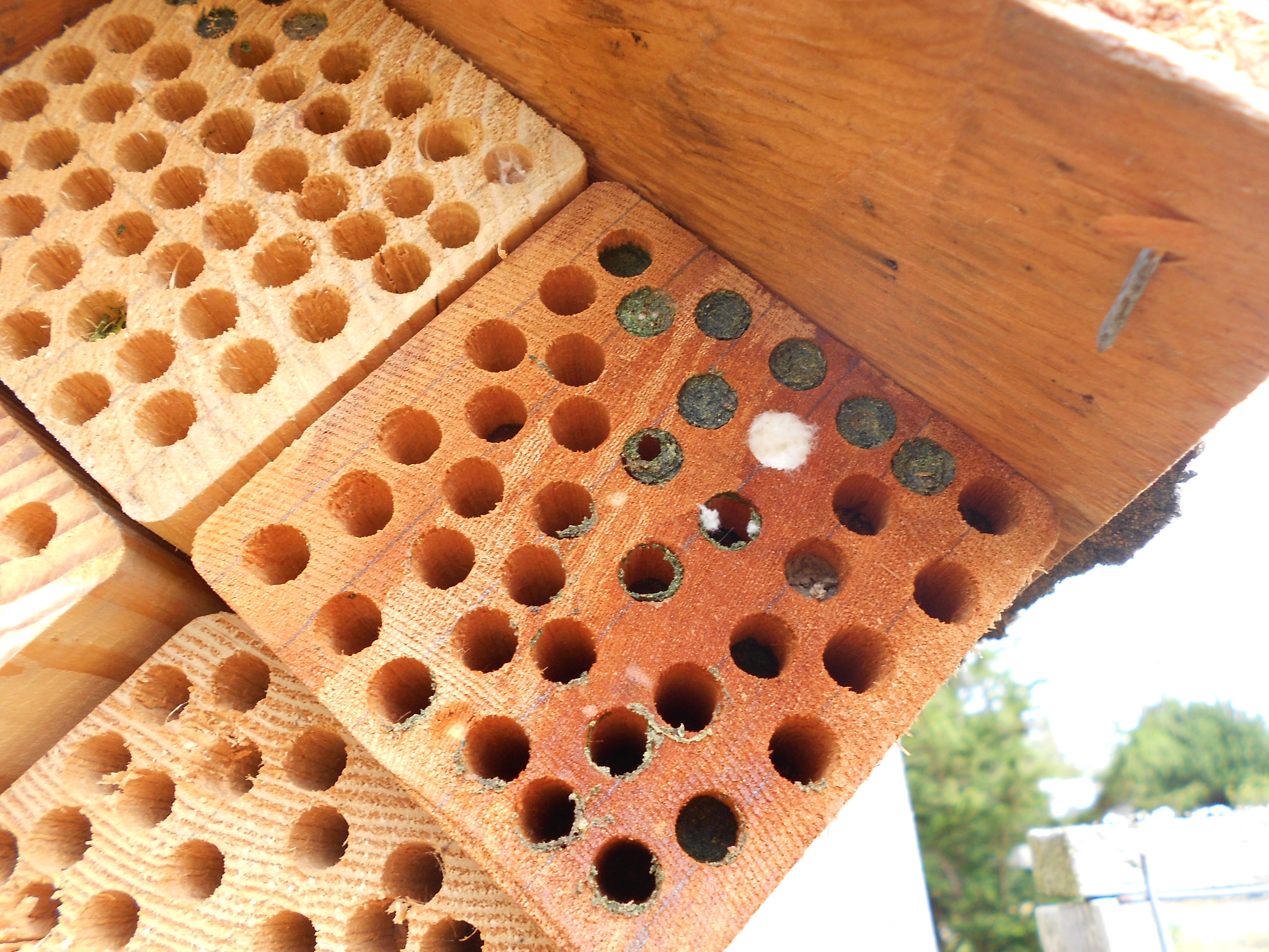 Make Your Own Little Bee Houses : 8 Steps (with Pictures) - Instructables