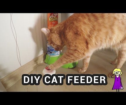 Arduino Cat Feeder - Instructables