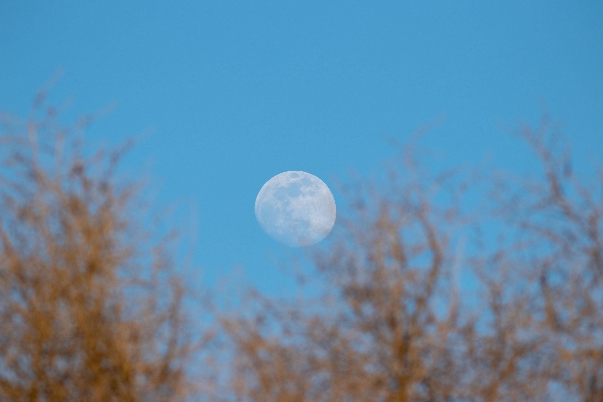 Shooting the Moon - How to Photograph the Moon : 5 Steps (with Pictures ...
