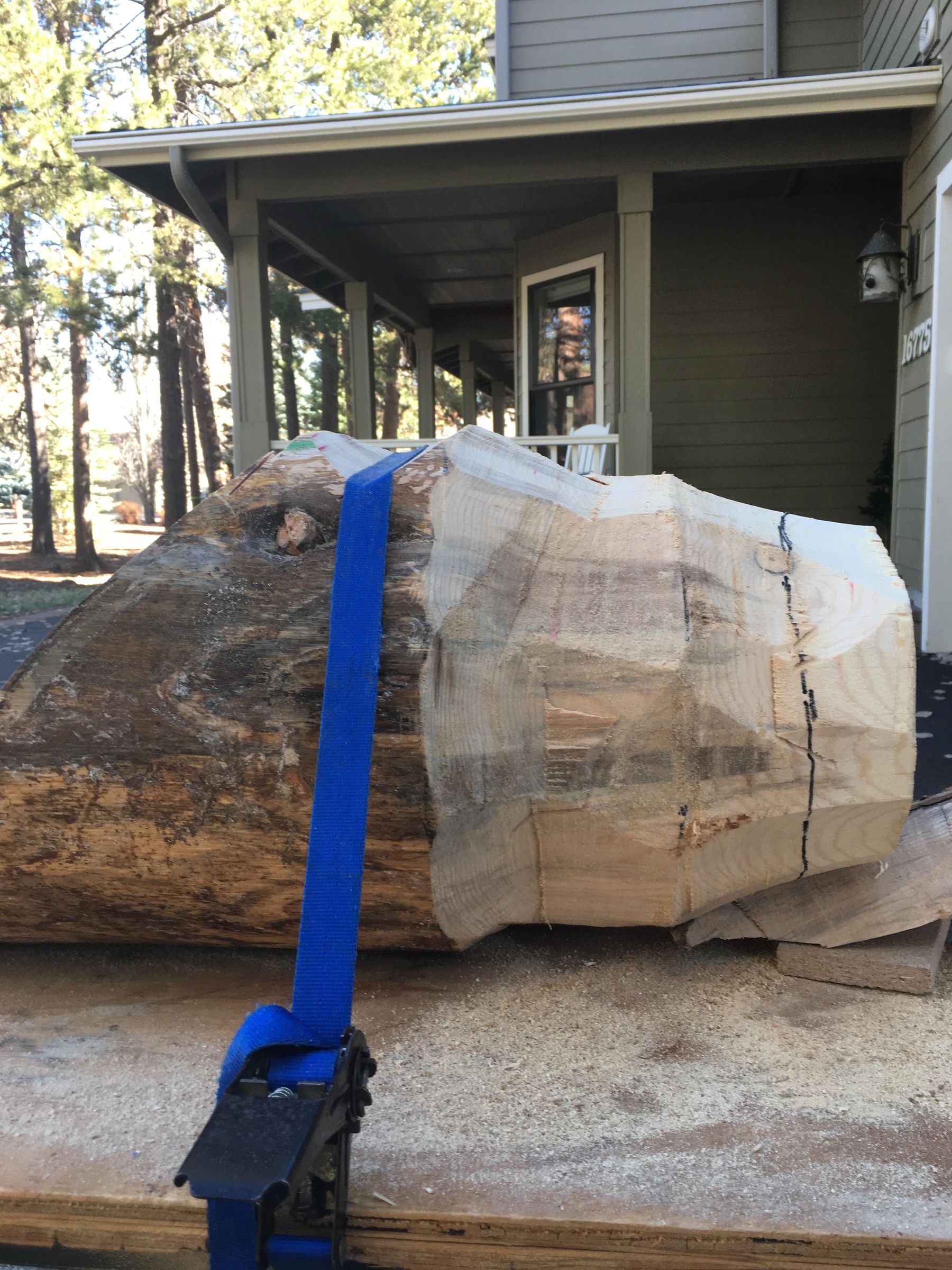 Wooden Deer Head : 11 Steps (with Pictures) - Instructables