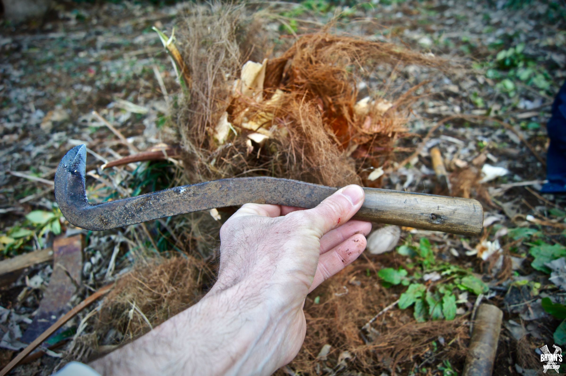 How to Make Rope Using Windmill Palm Tree Fiber! : 6 Steps (with ...