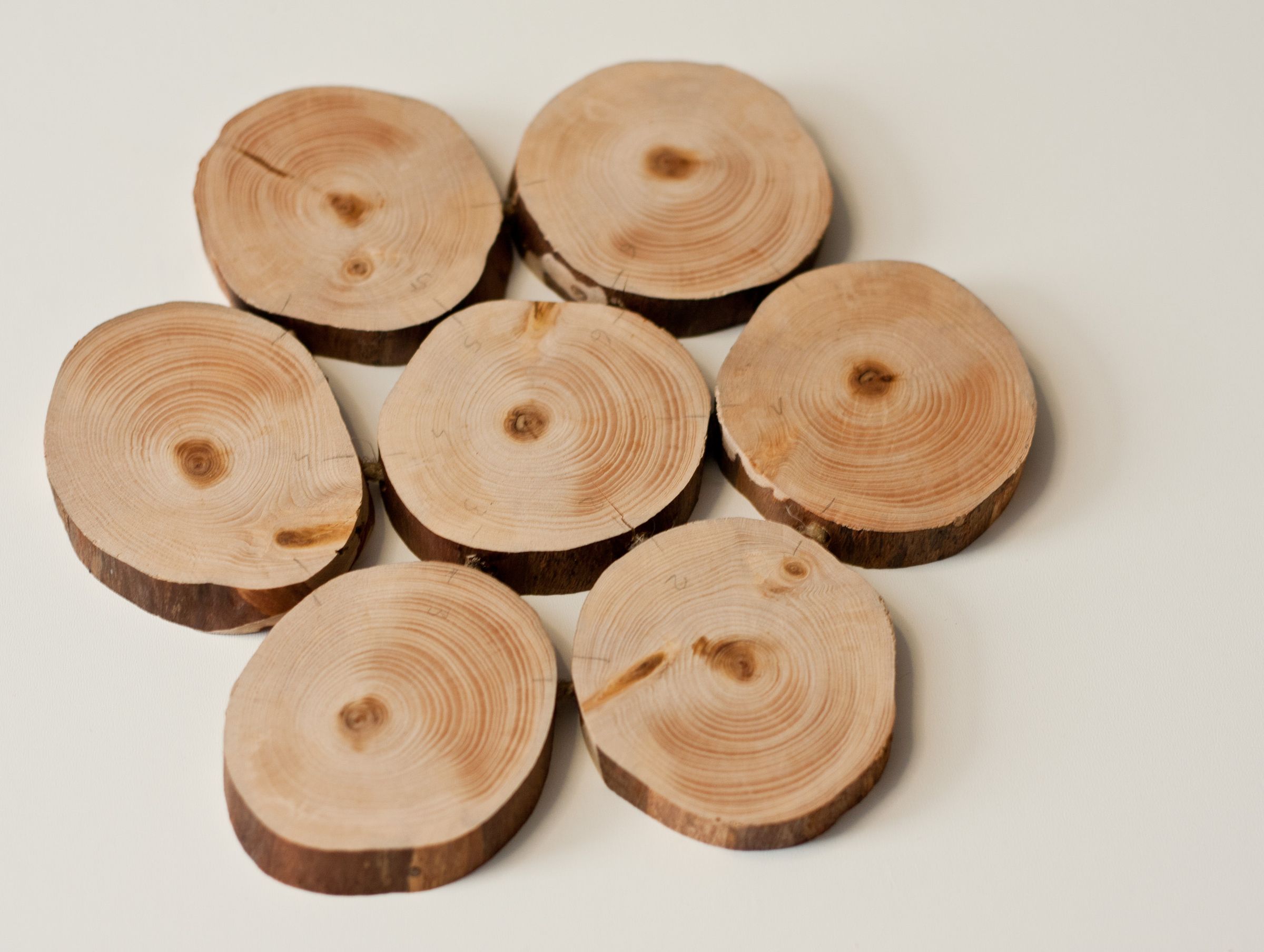 Wooden Branch Trivet : 10 Steps (with Pictures) - Instructables