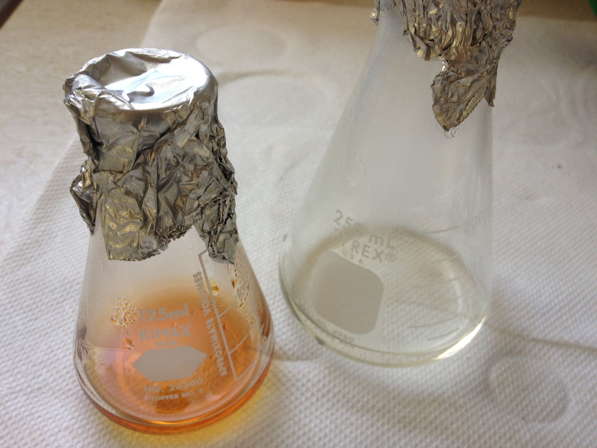 How to Make Solid Culture Medium Plates for Yeast Culture : 8 Steps ...