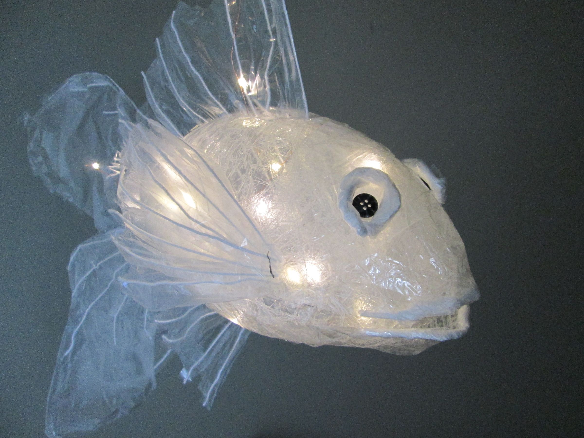 Ghostly Goldfish : 15 Steps (with Pictures) - Instructables