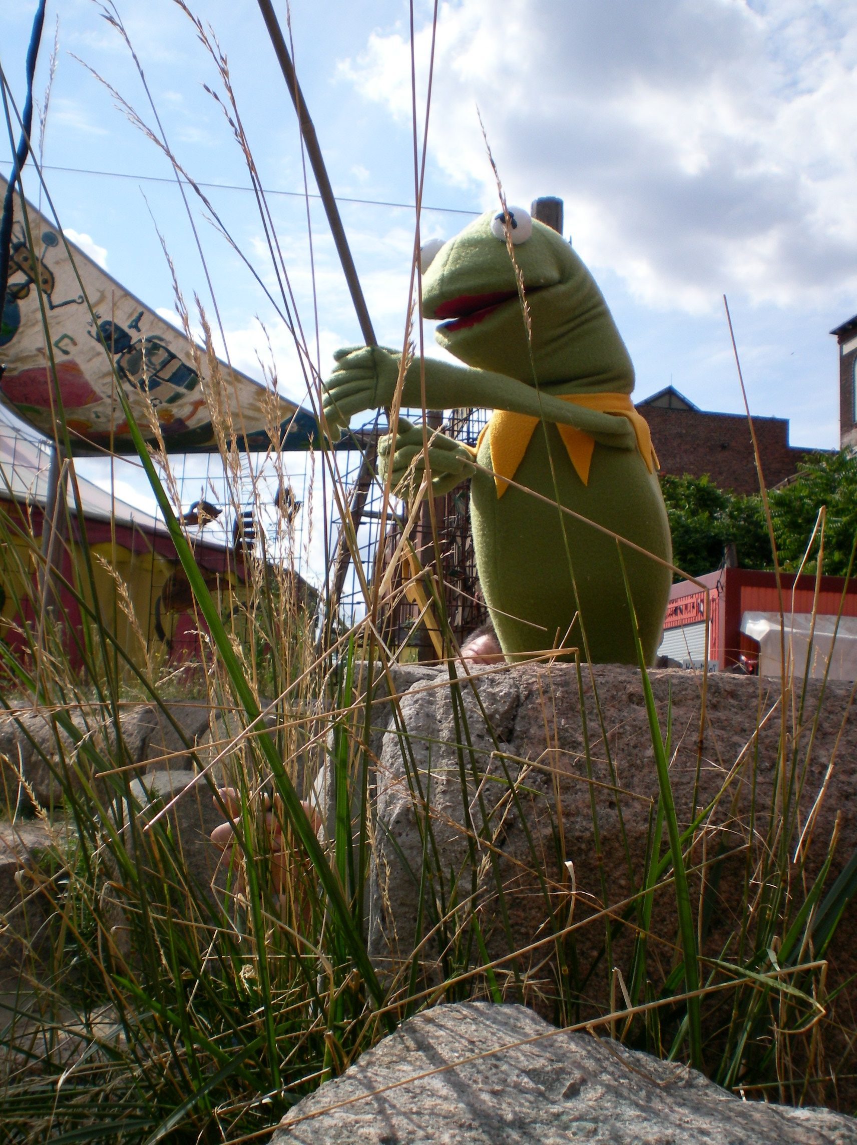 Kermit the Frog Clone : 10 Steps (with Pictures) - Instructables