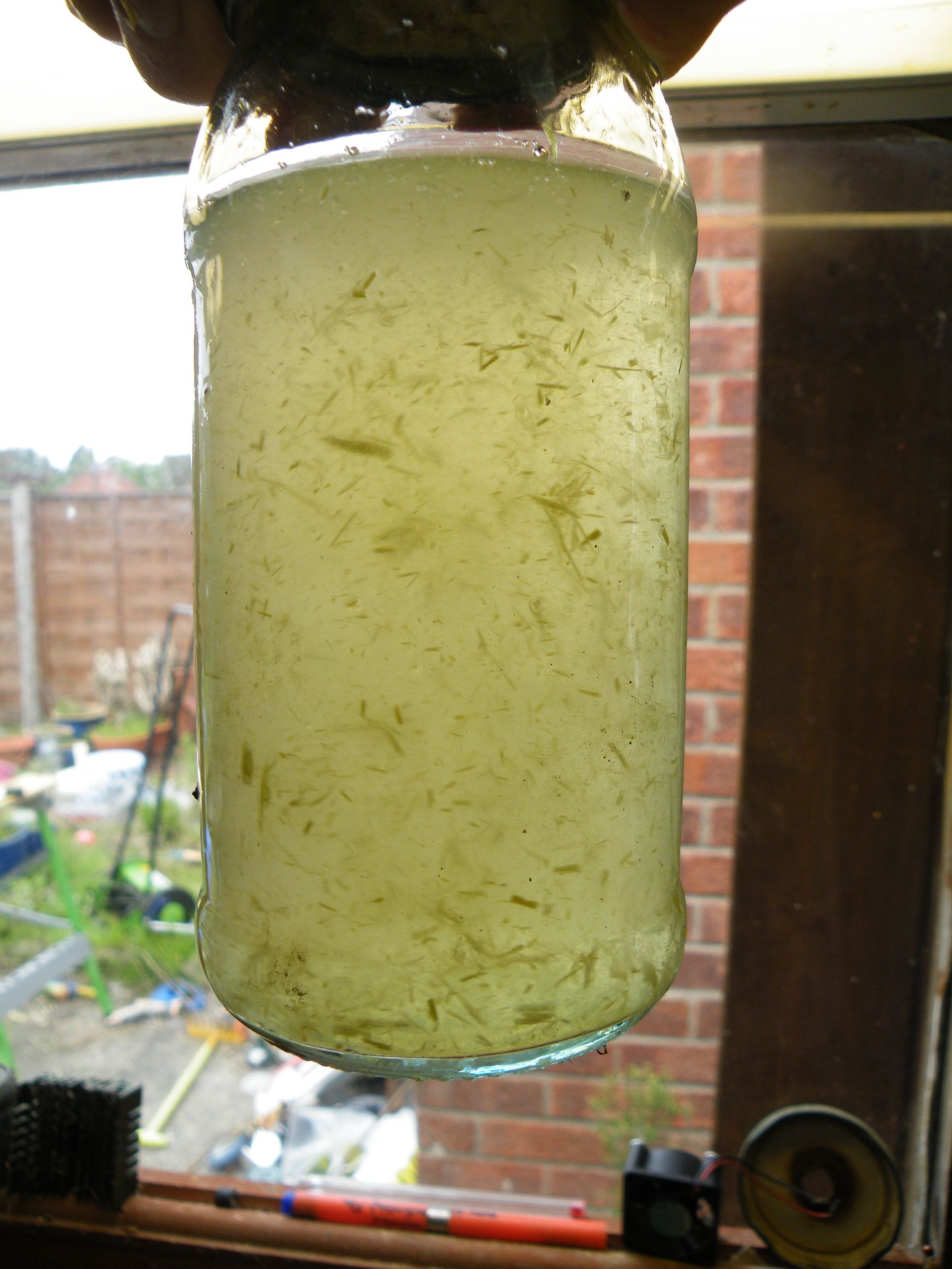 How to Make Paper : 15 Steps (with Pictures) - Instructables