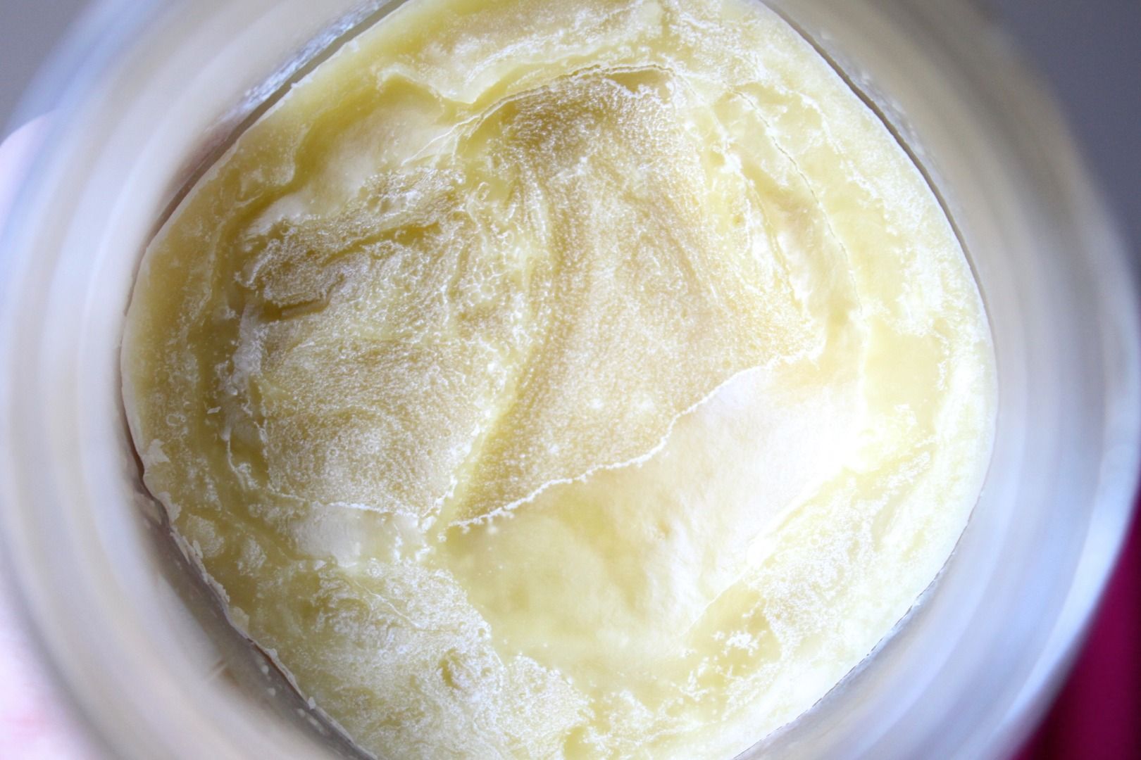How to Make Cannabis Coconut Oil (canna Oil) : 6 Steps (with Pictures ...