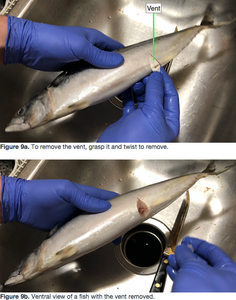 How to Clean a Fish : 22 Steps (with Pictures) - Instructables