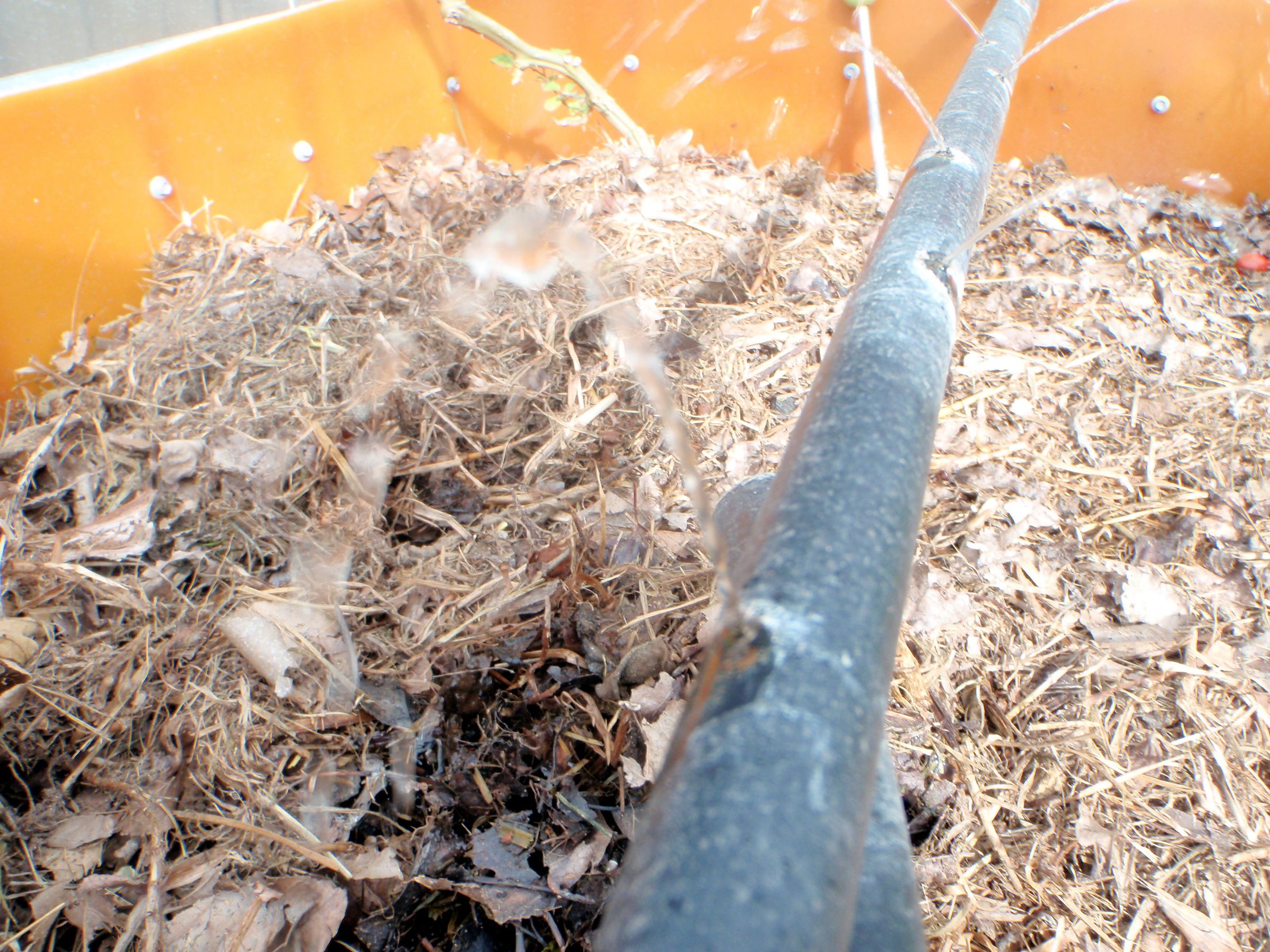 Vermiponic Garden : 12 Steps (with Pictures) - Instructables