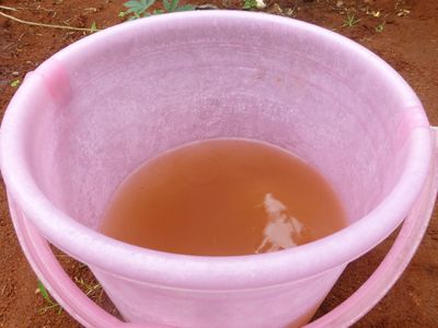 How to Purify Muddy Water : 7 Steps (with Pictures) - Instructables
