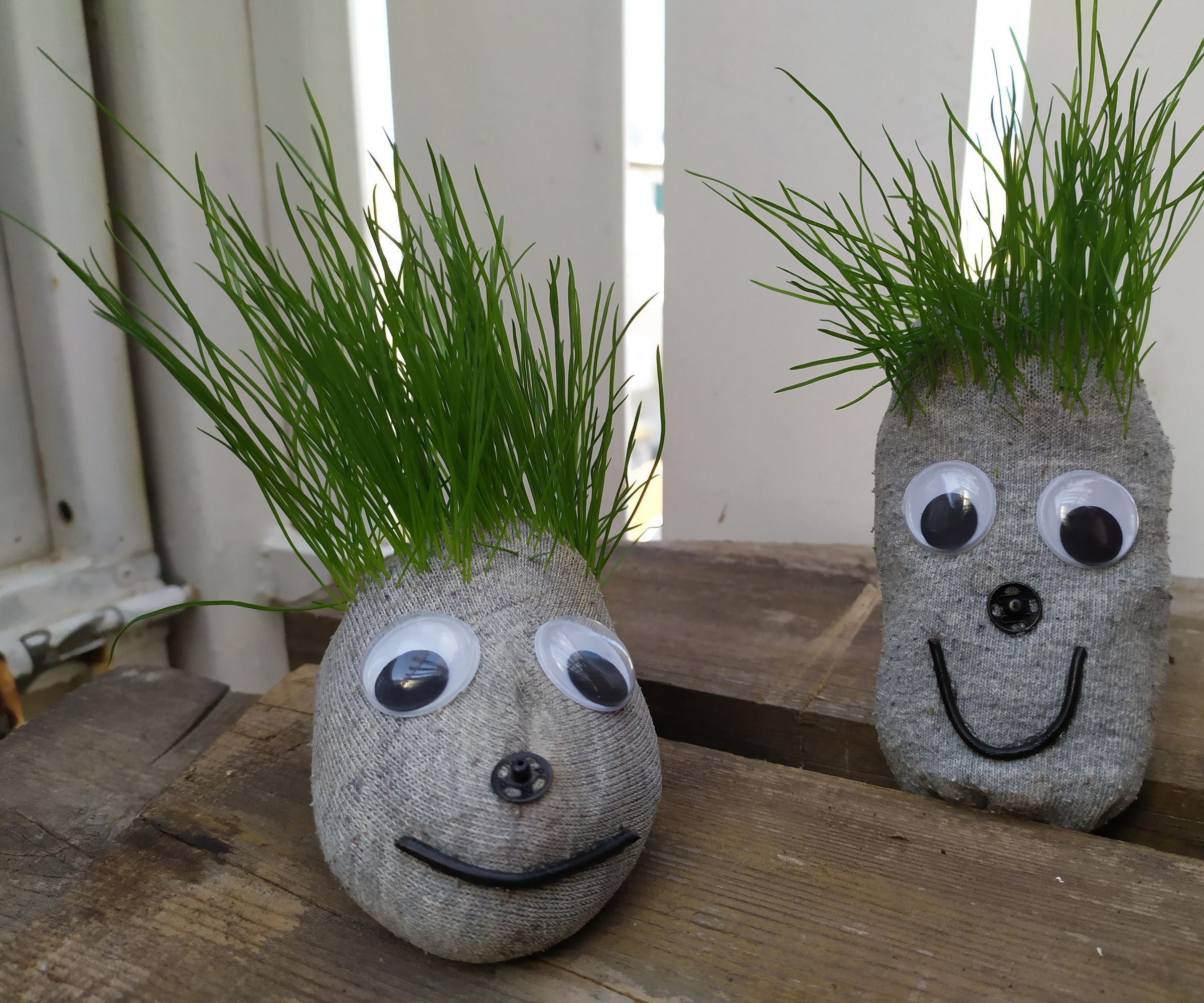 grass head DIY Project - Step-by-Step DIY Project | FindingDIY