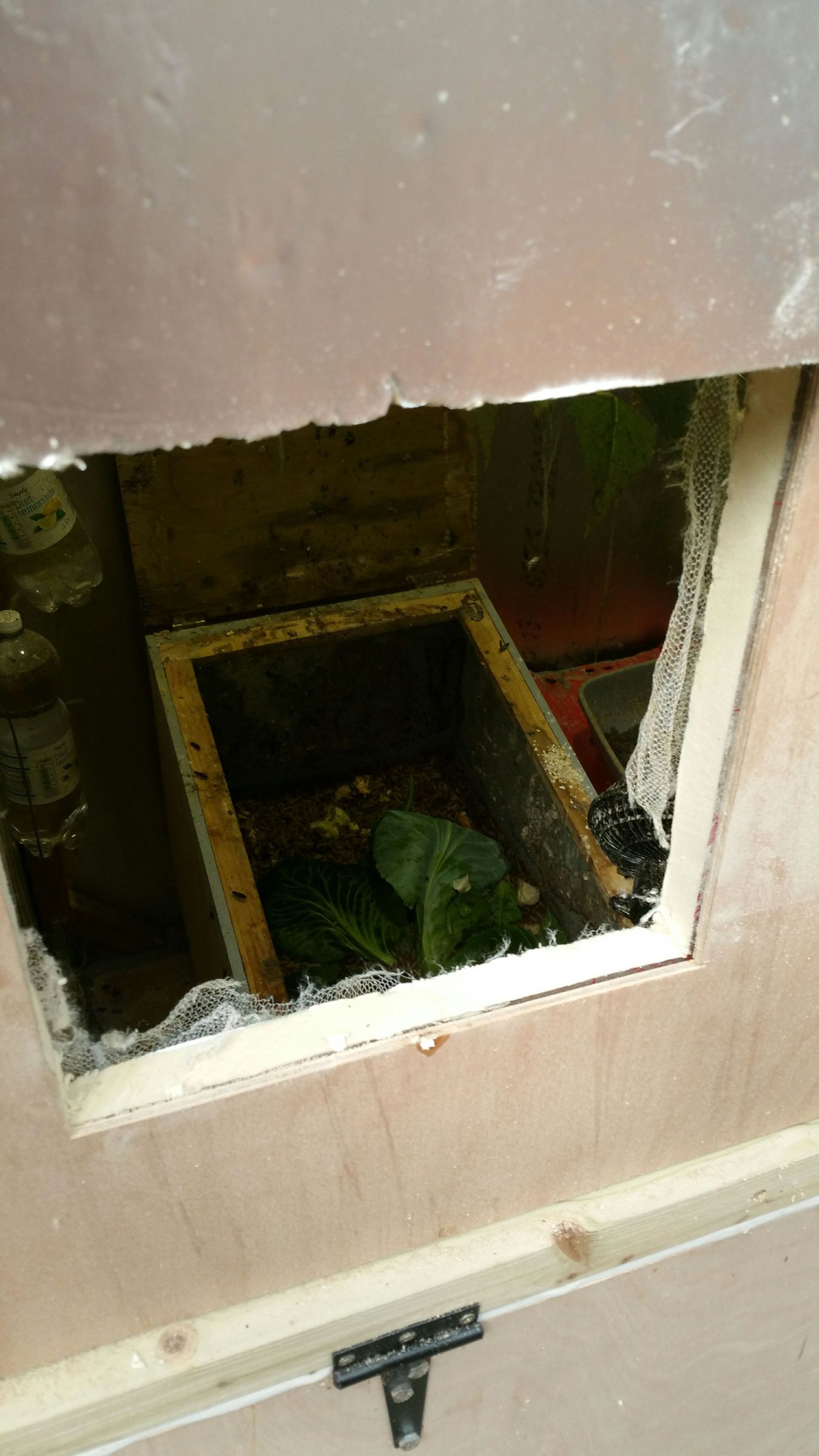 Fly Cage Black Soldier Fly Breeding UK. : 9 Steps (with Pictures ...