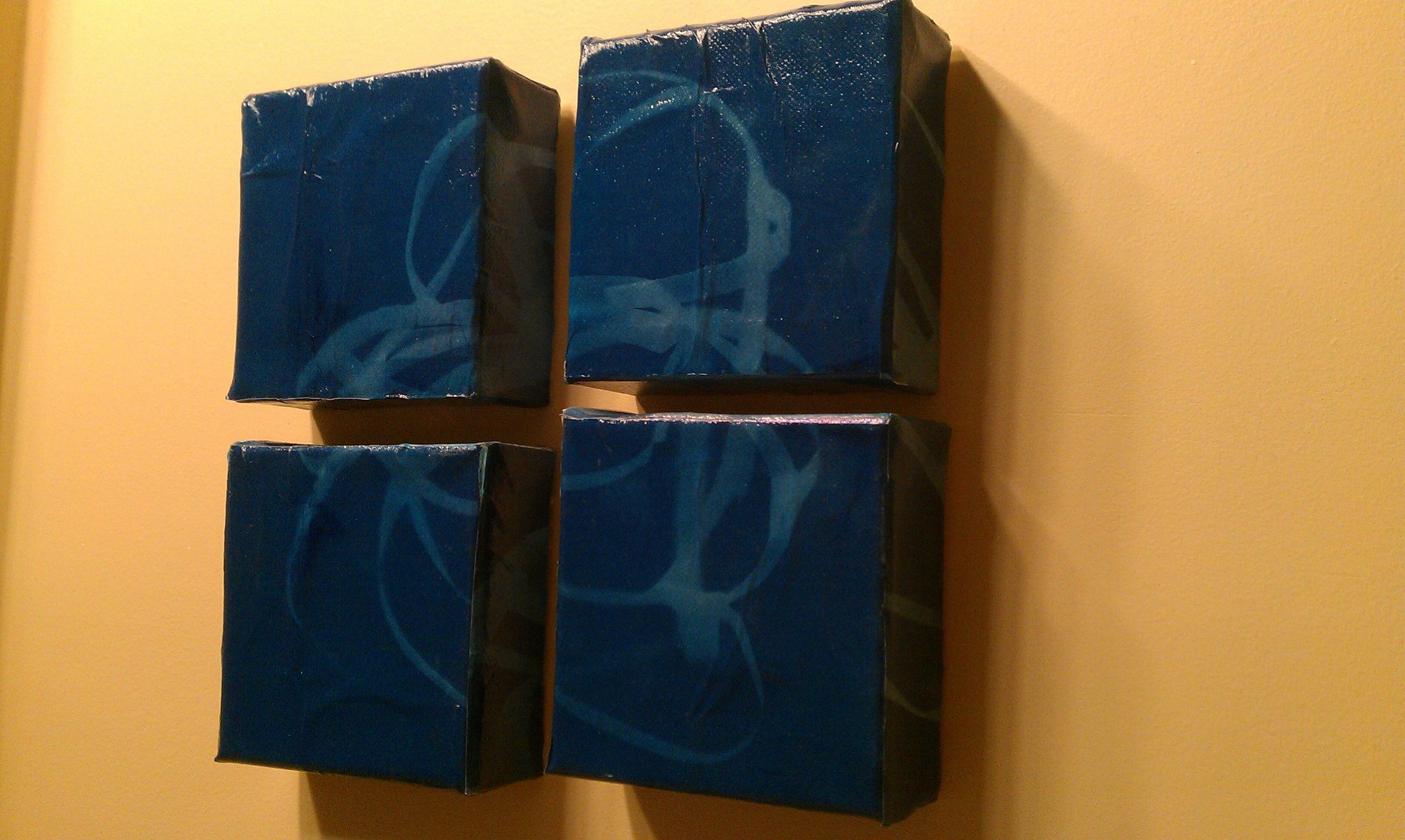 Capturing Translucent Shadows With Cyanotype : 8 Steps - Instructables