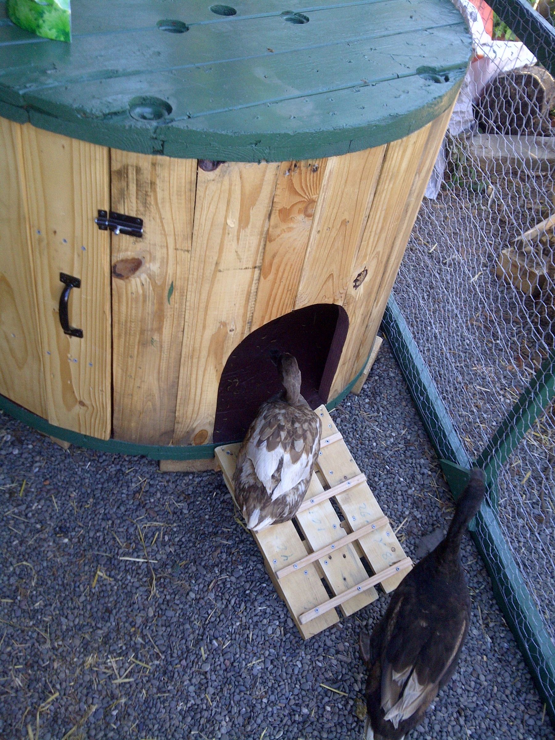 Cable Spool Duck House : 7 Steps (with Pictures) - Instructables
