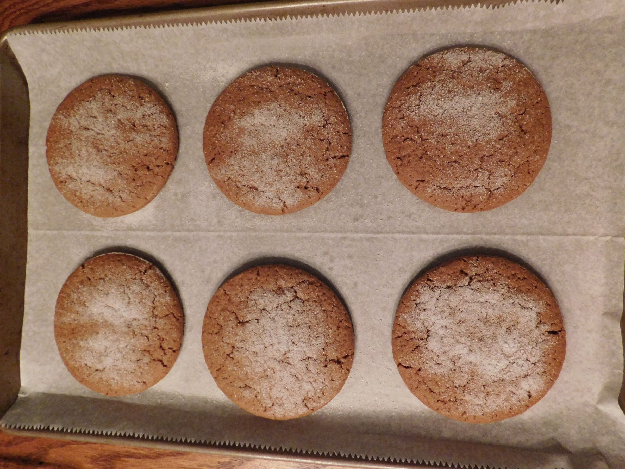 Joe Frogger's Cookies, C. 1800 : 8 Steps (with Pictures) - Instructables