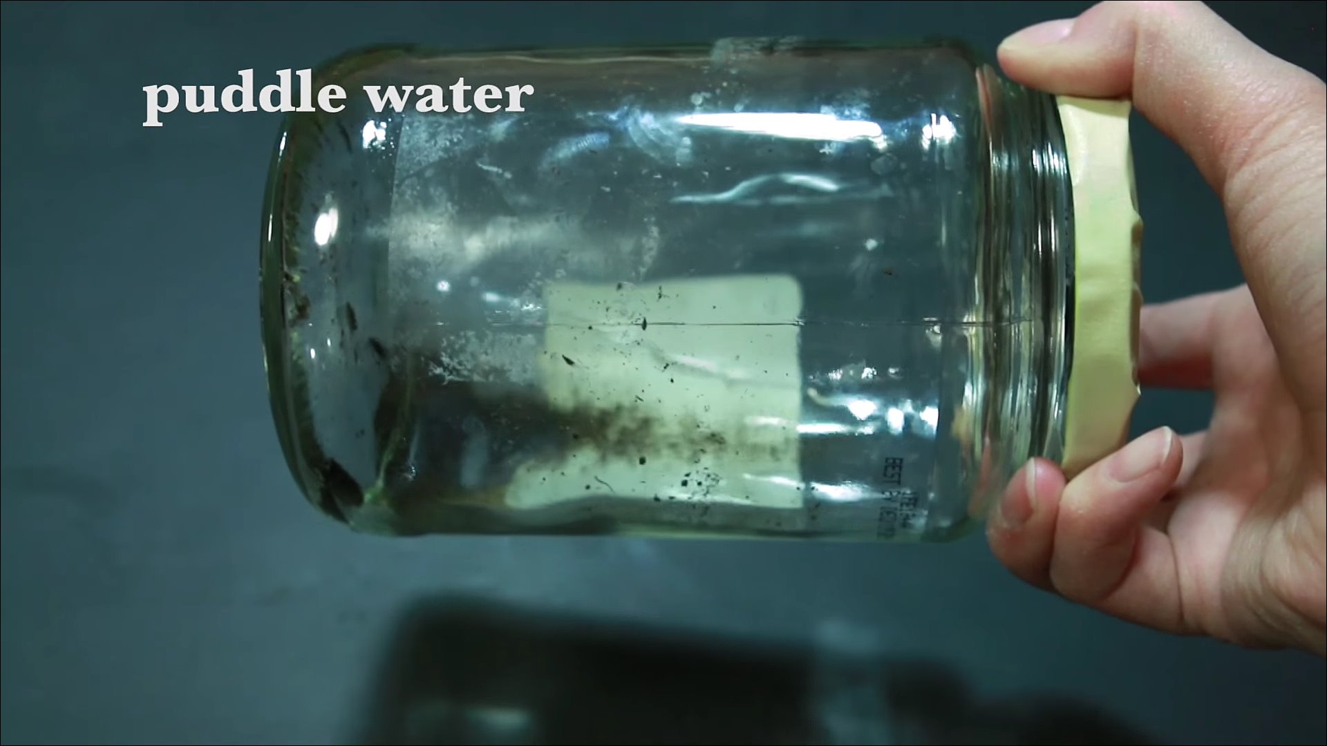 DIY Microscope Using Smartphone : 5 Steps (with Pictures) - Instructables