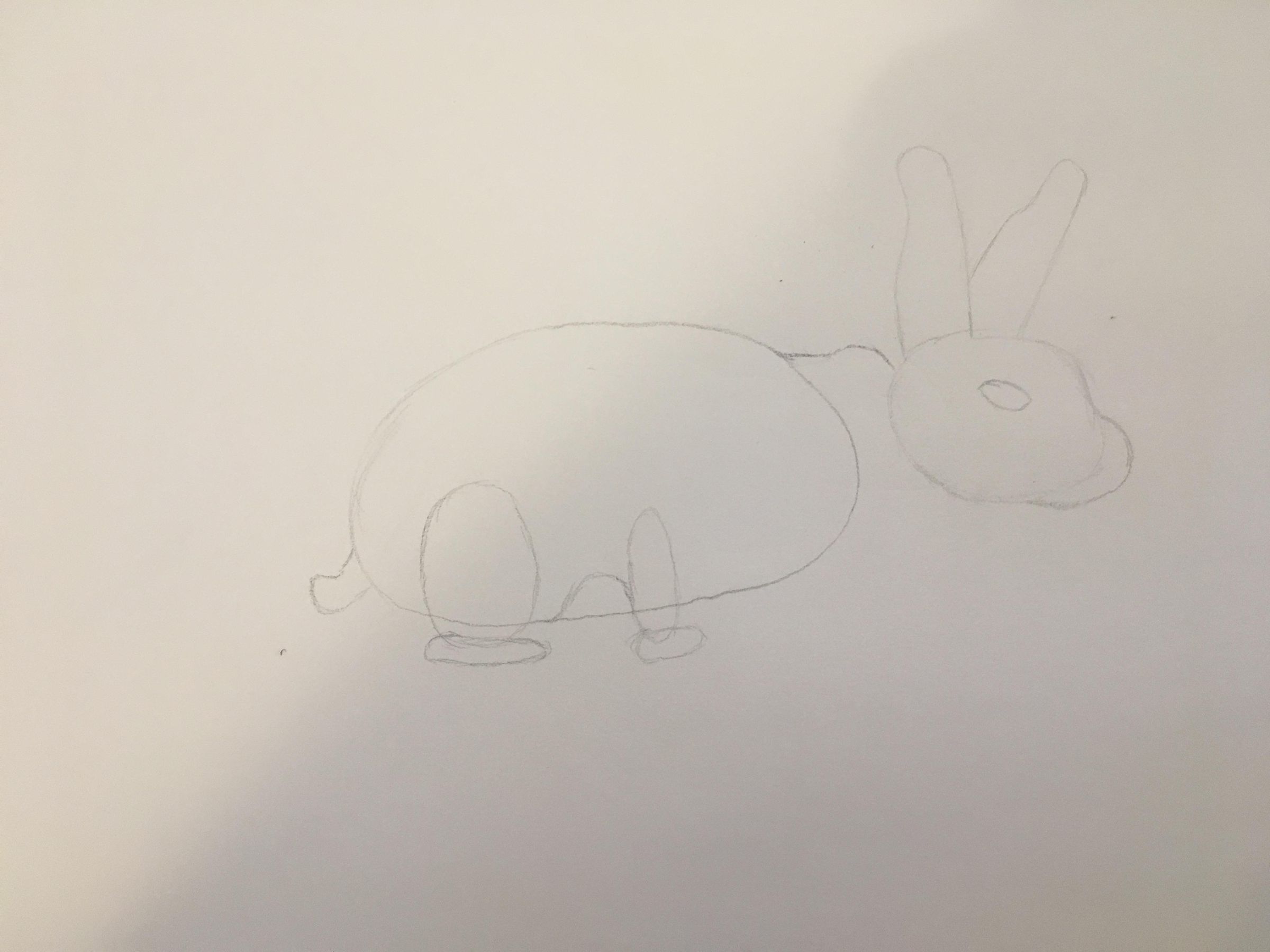 How to Draw a Realistic Bunny (standing) : 26 Steps - Instructables