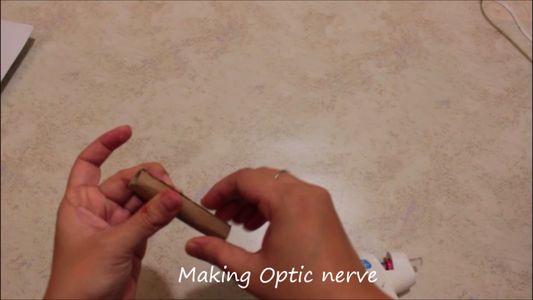 How to Make 3D Human Eye Model: Easy Way - Instructables