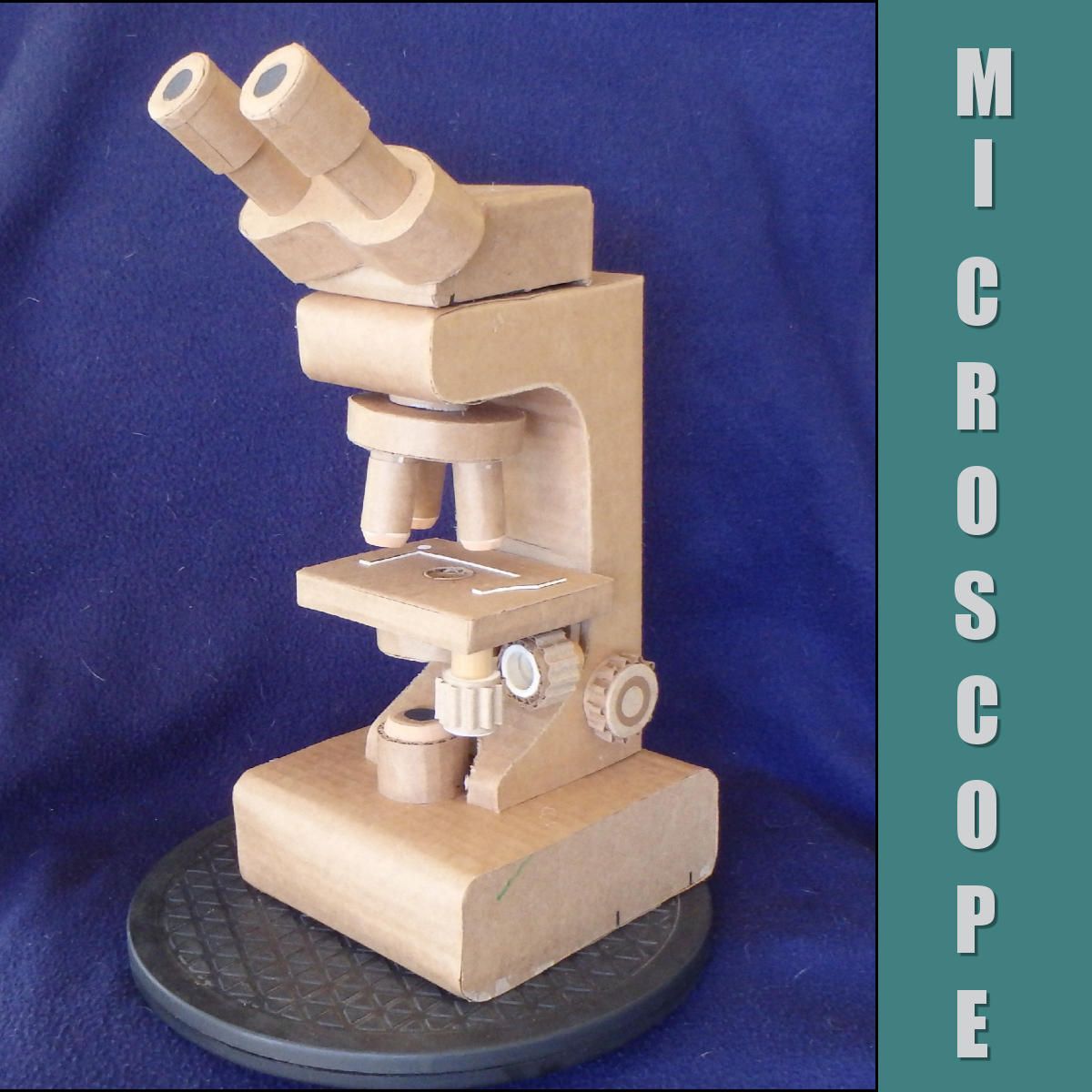 Make a Cardboard Binocular Microscope : 7 Steps (with Pictures ...