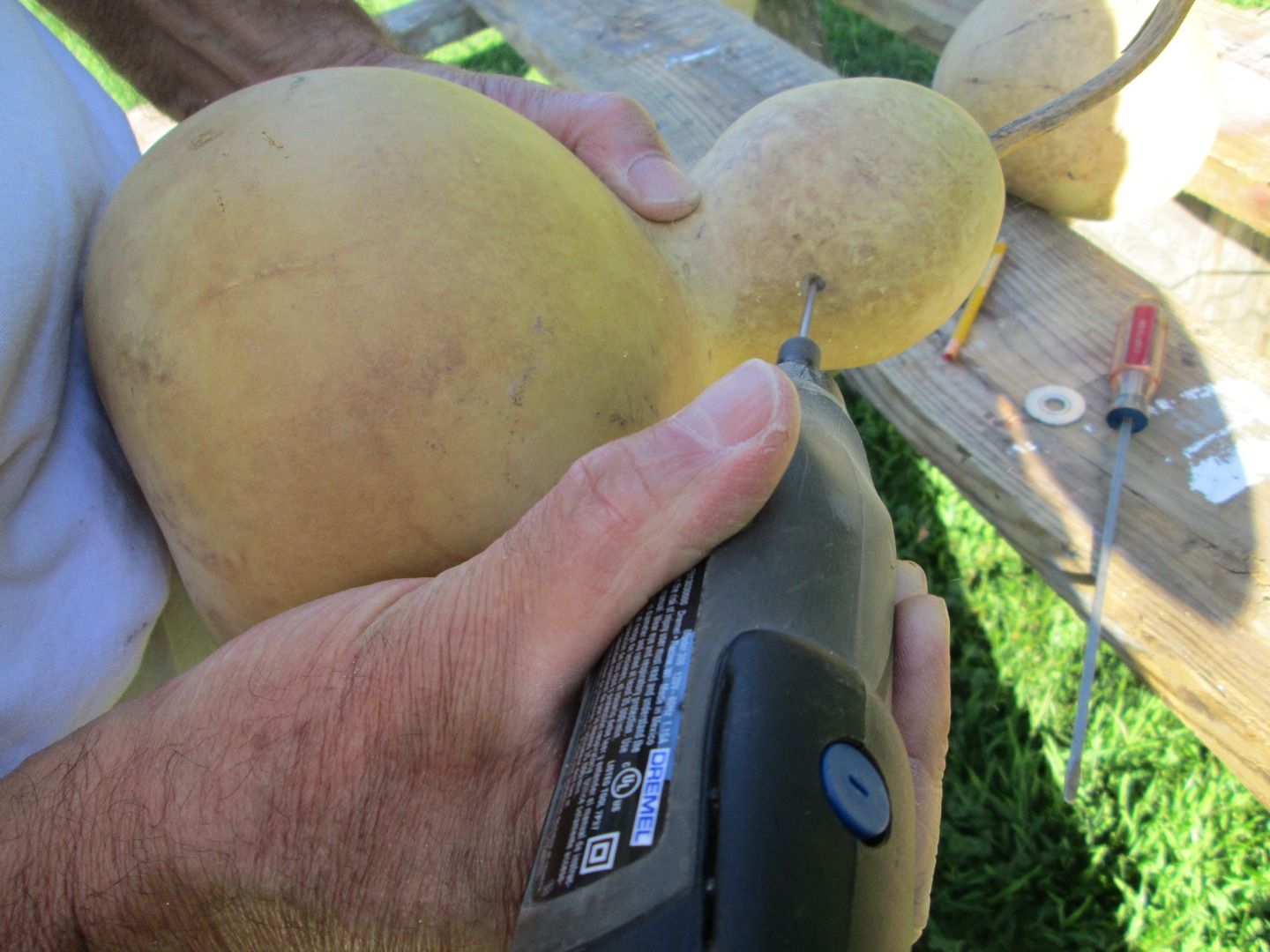 Build a Gourd Birdhouse : 8 Steps (with Pictures) - Instructables