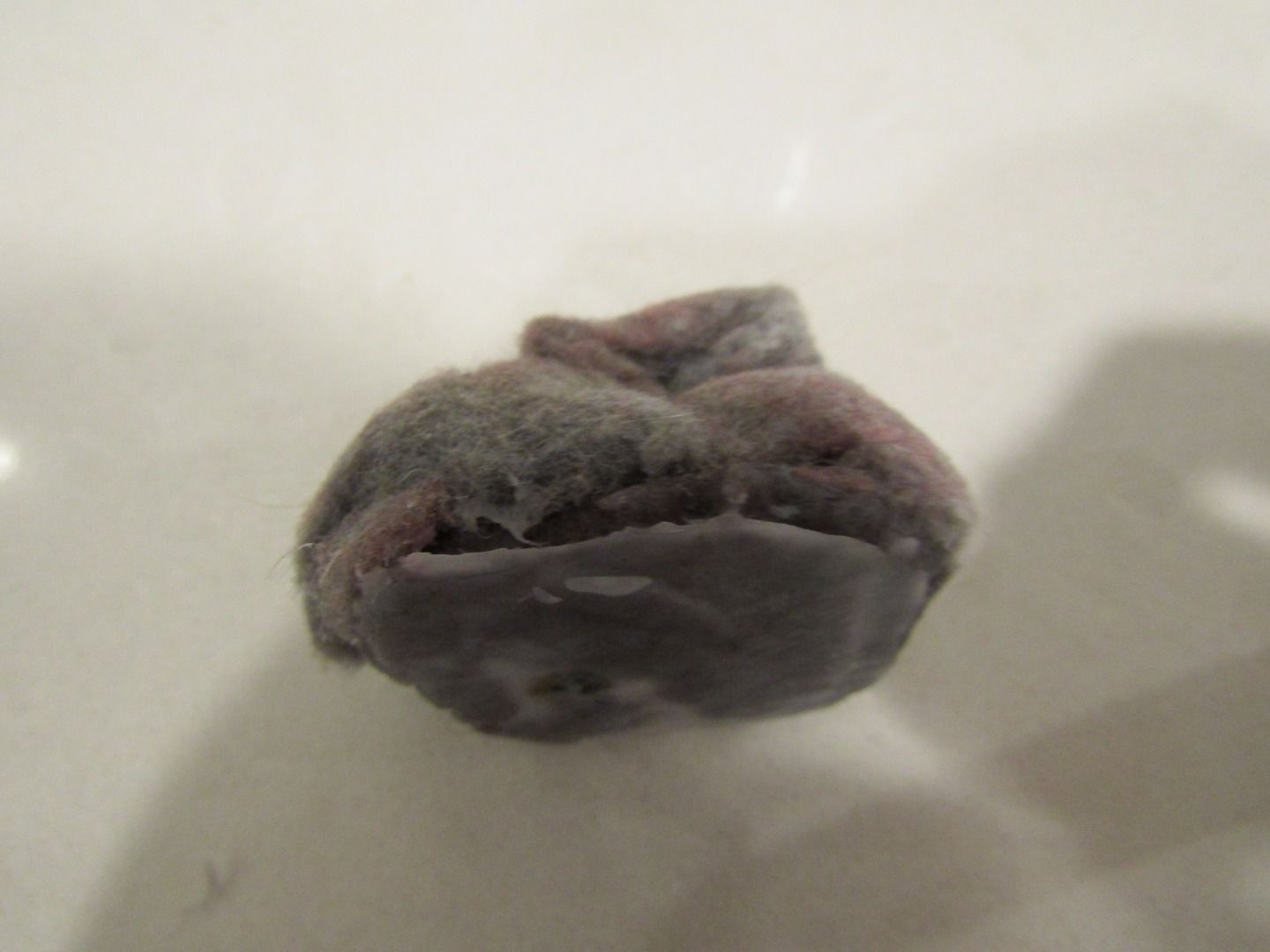 EASY LINT FIRE STARTERS : 5 Steps (with Pictures) - Instructables